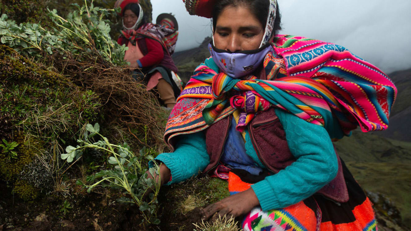 How Salesforce has helped plant 10 million new trees (with 90 million ...