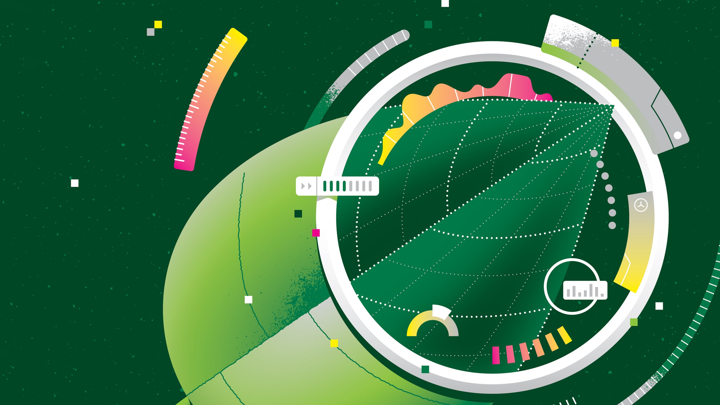How AI startup Pachama brings transparency to carbon offset projects ...