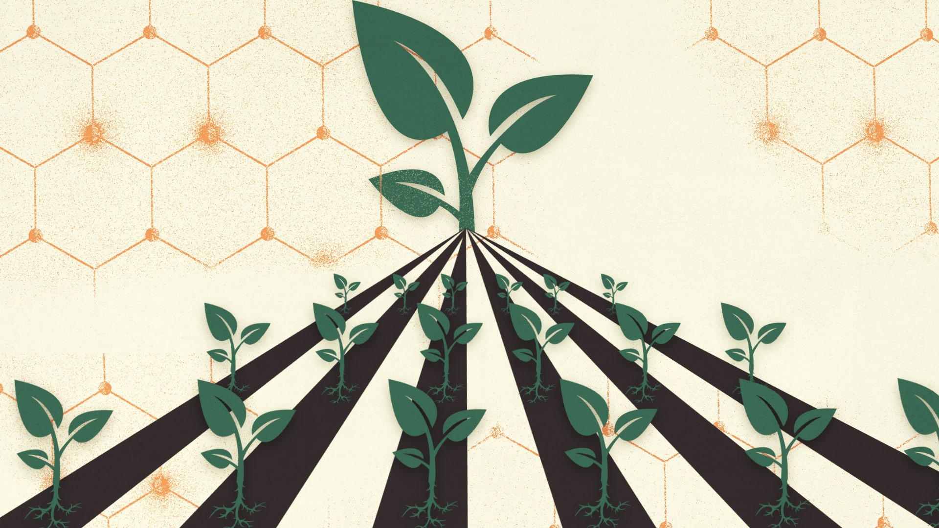 Meet Plant-Ag, the $9 billion startup that will let you trace your food ...