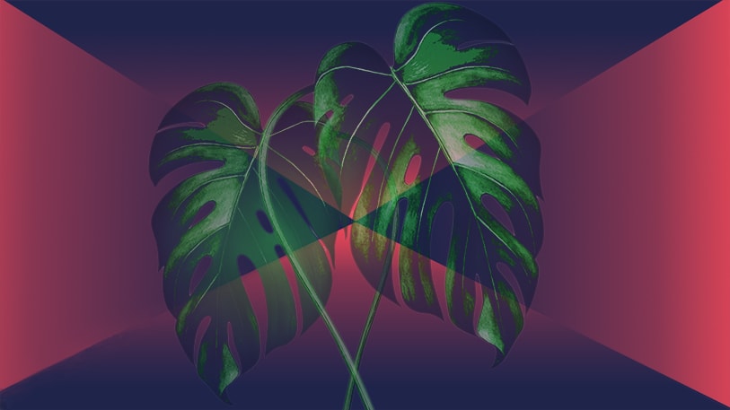 These Two Homes Offer Wildly Different Visions For Post Covid 19 Life