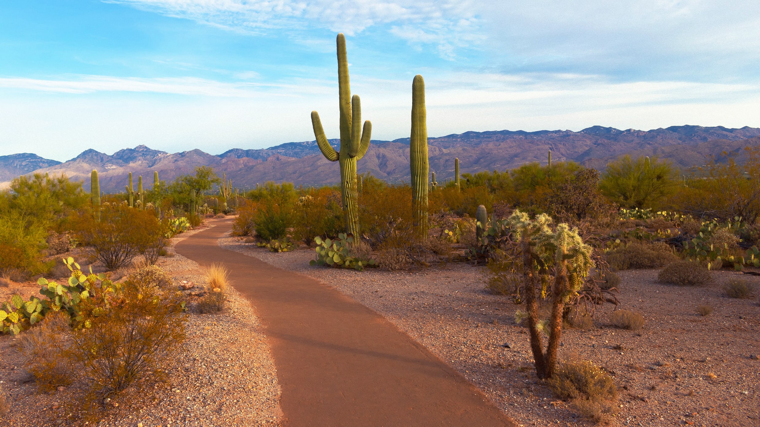 This interactive map shows all the conservation land near you - Fast ...