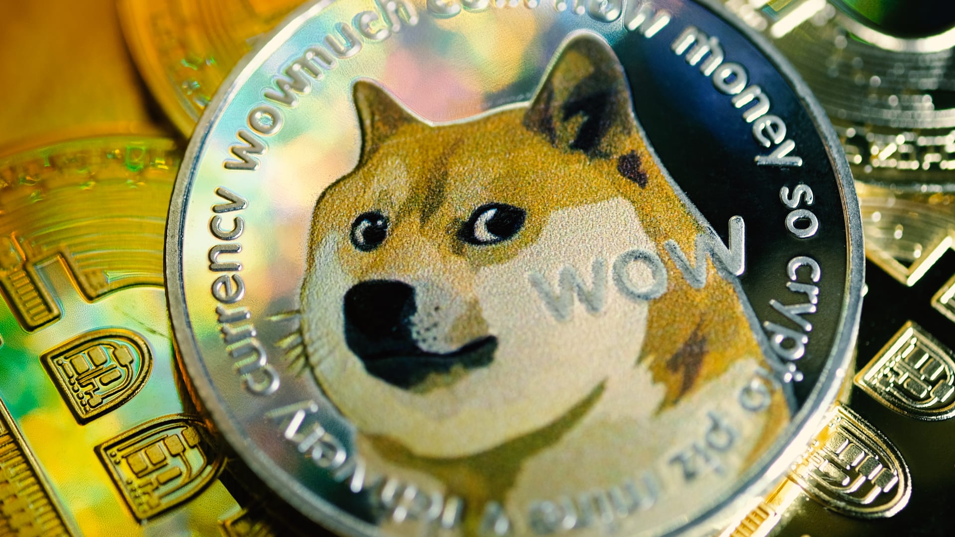 Dogecoin hits record highs as the cryptocurrency begins trading on ...