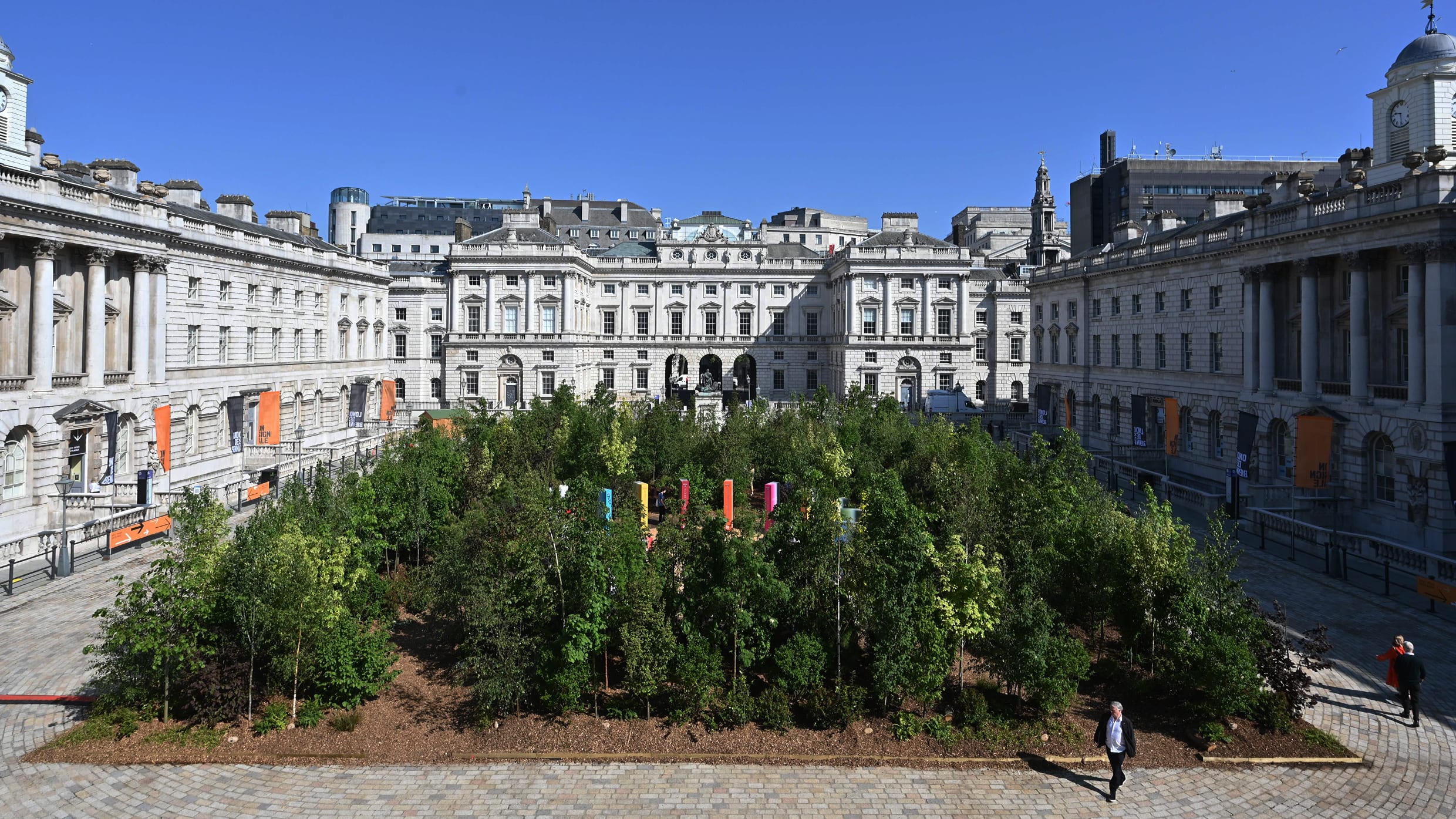 An artist planted 400 trees in London to showcase where design is ...