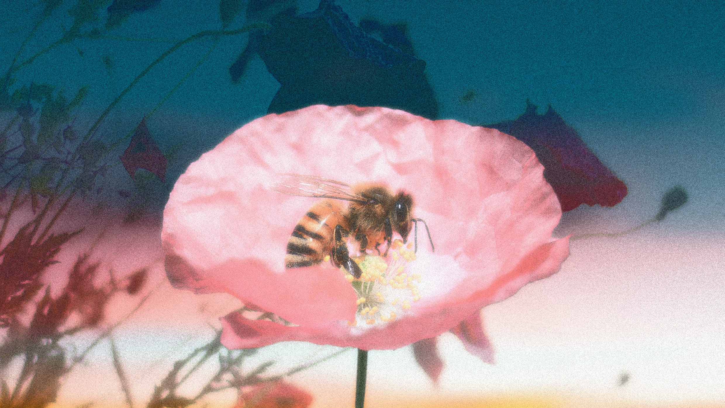 Bees have a new, lifesaving 'vaccine,' too - Fast Company