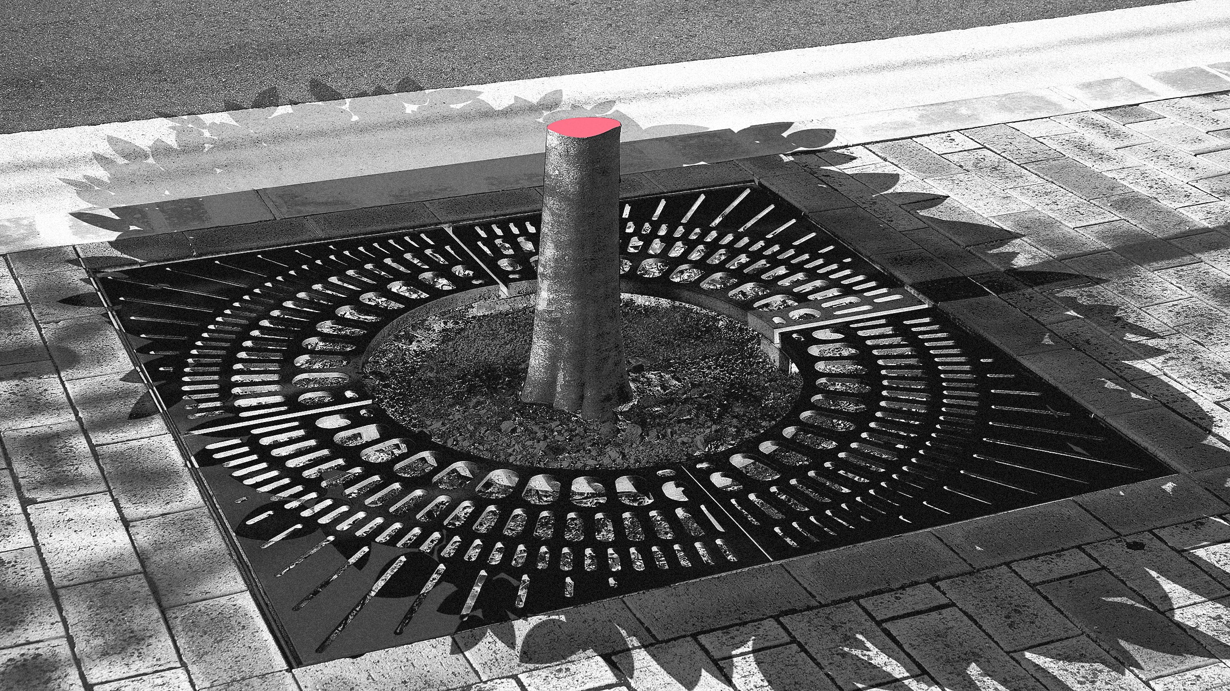 Low-income neighborhoods have fewer trees. Here's why that's a problem ...