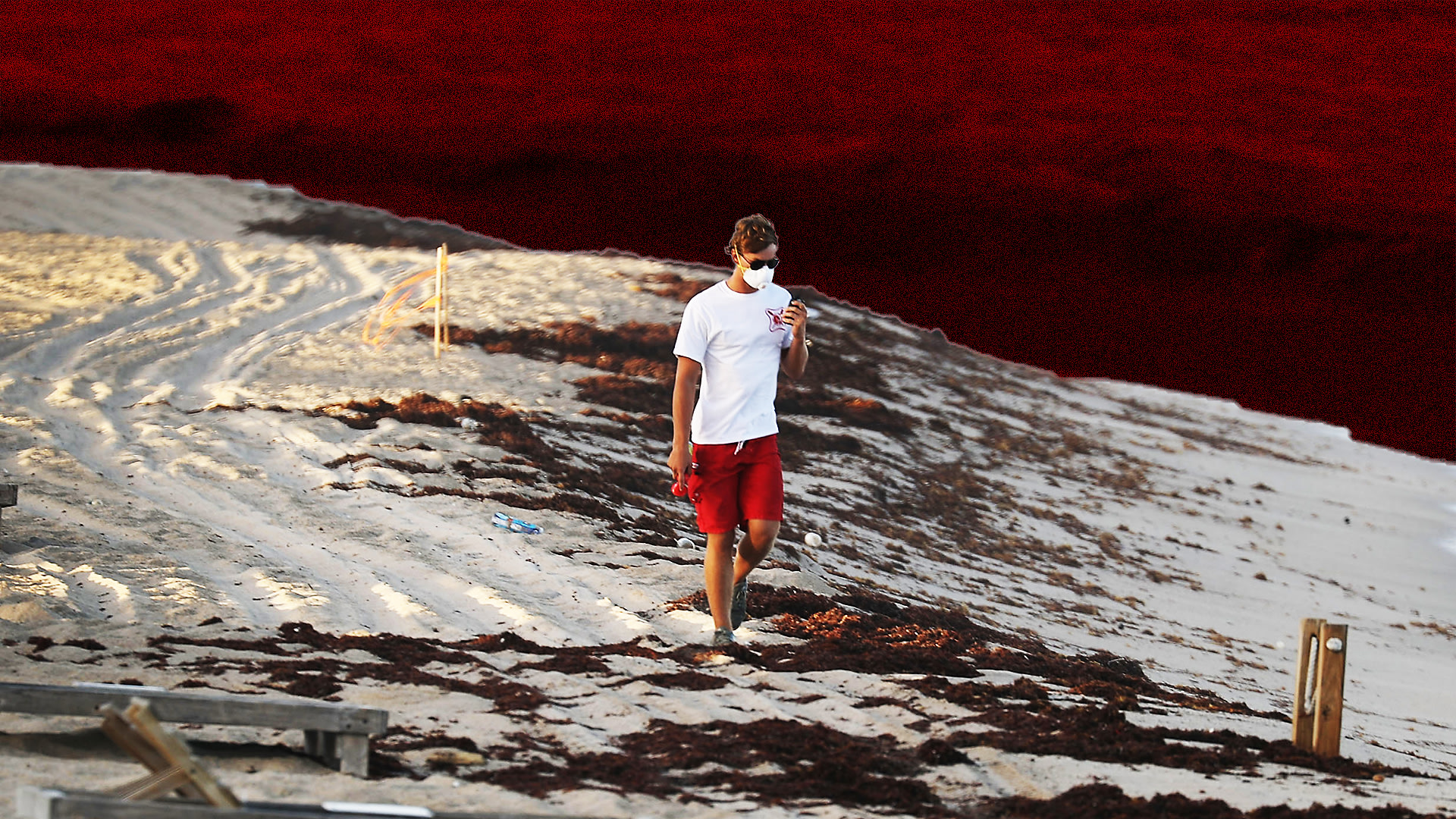 What is red tide? Deadly Florida bloom has killed 800 tons of fish ...