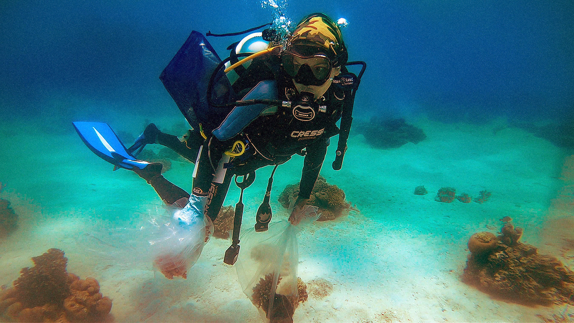 These probiotics for coral could help save the reefs - Fast Company
