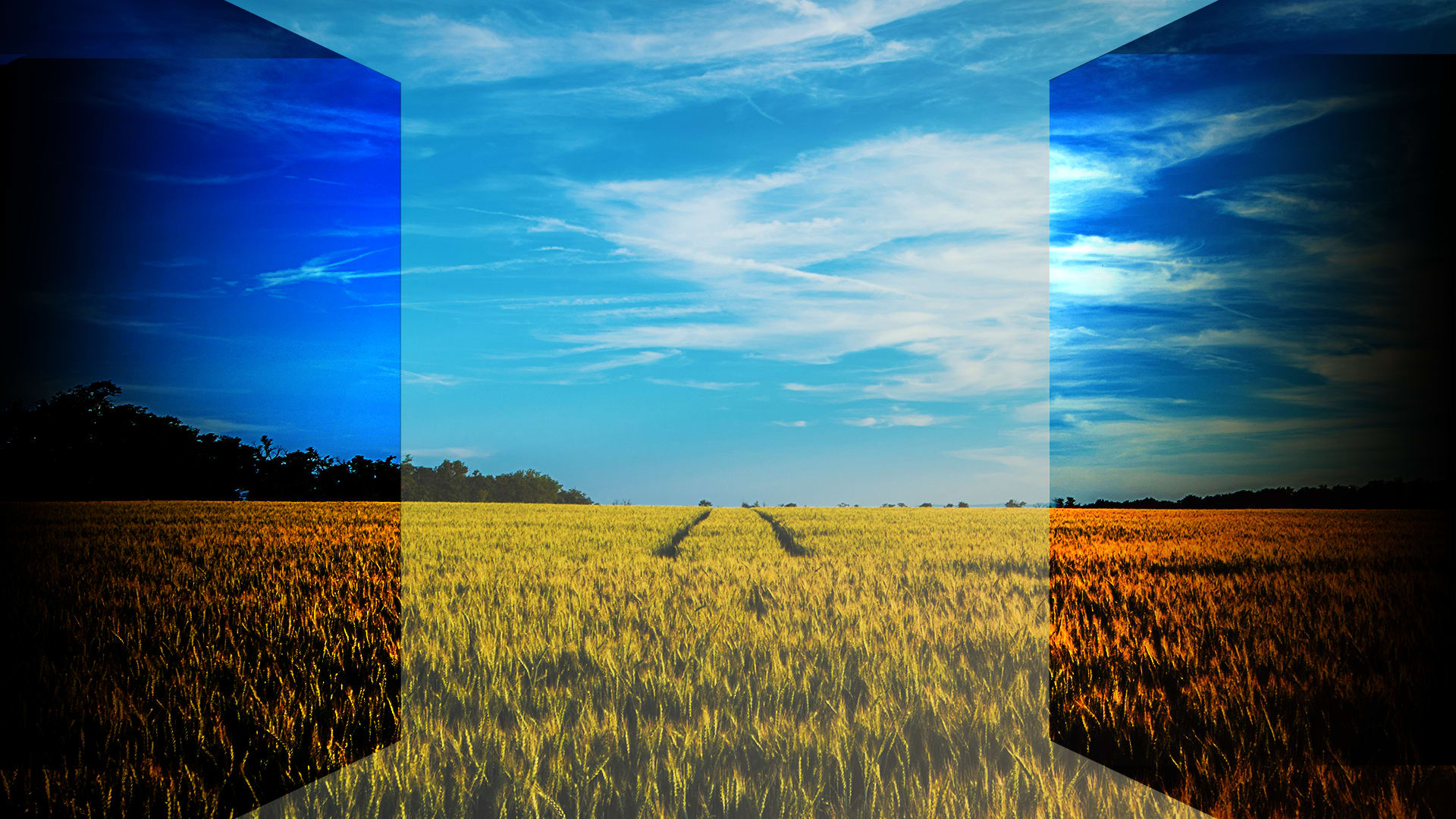 How to manage toxic emotions that hold you back from changing careers ...