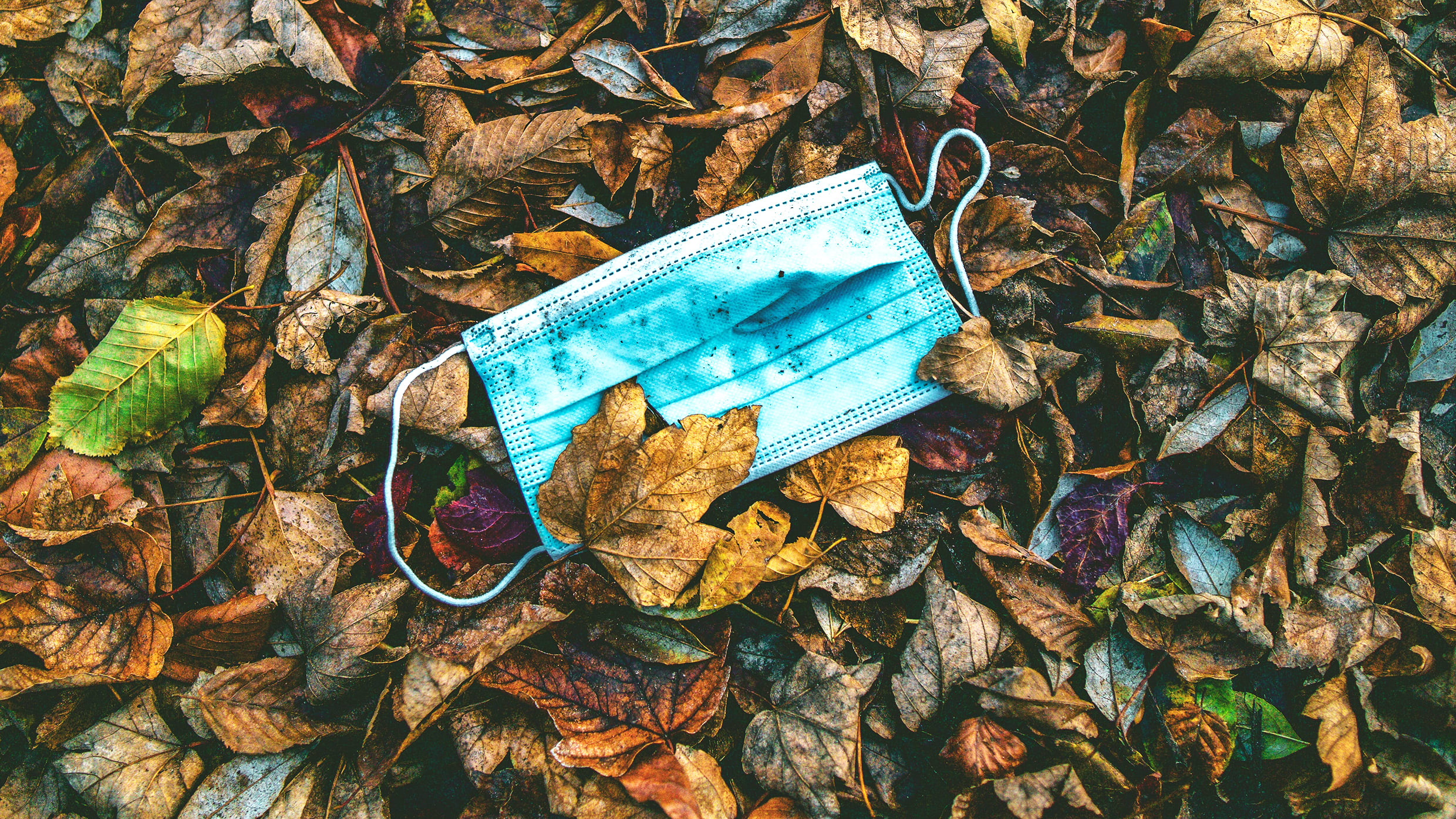 Delta variant danger zones: COVID-19 forecast map shows where hotspots ...