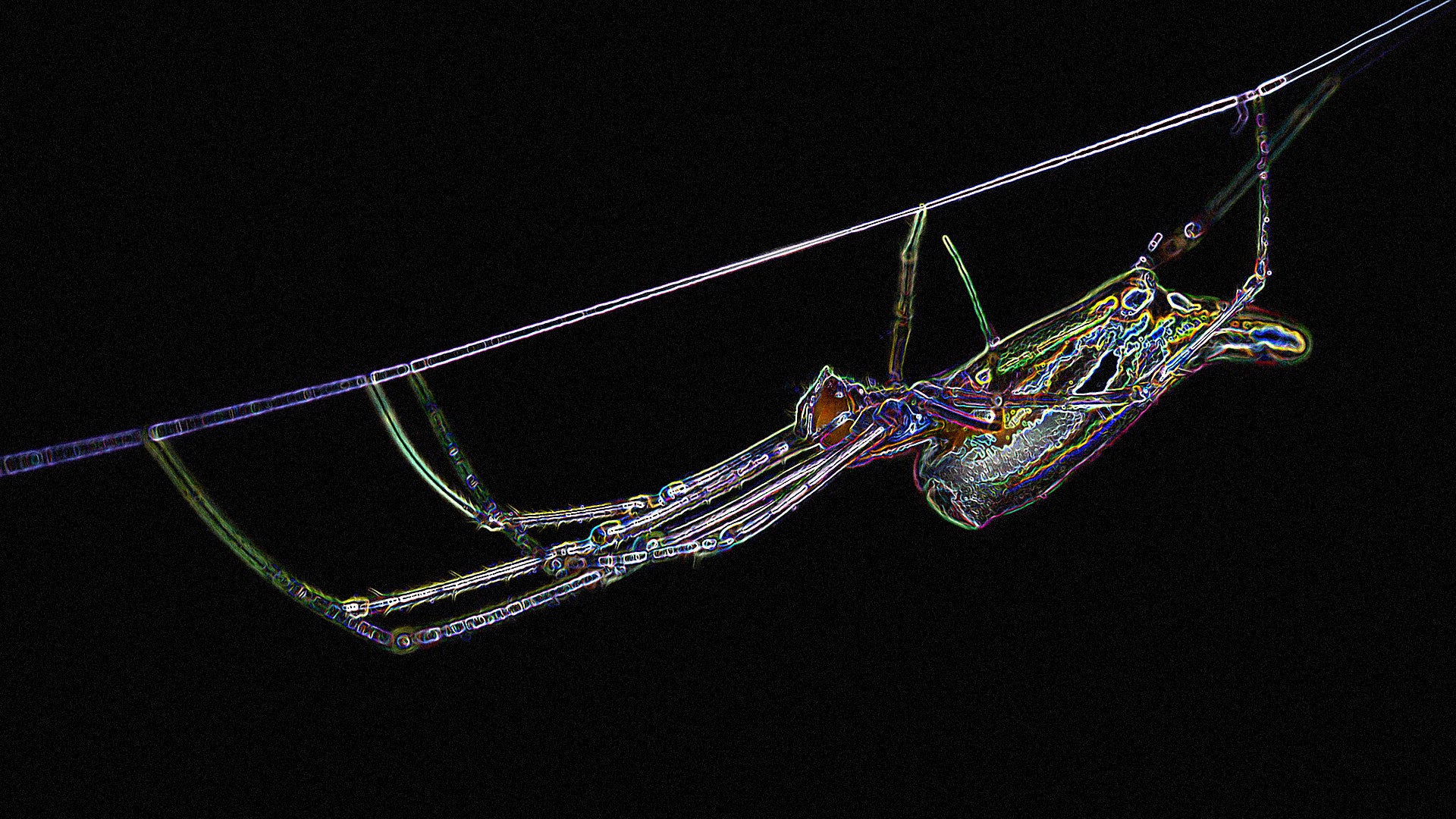 Anxiety researchers have a high-tech way to help you conquer your fear ...