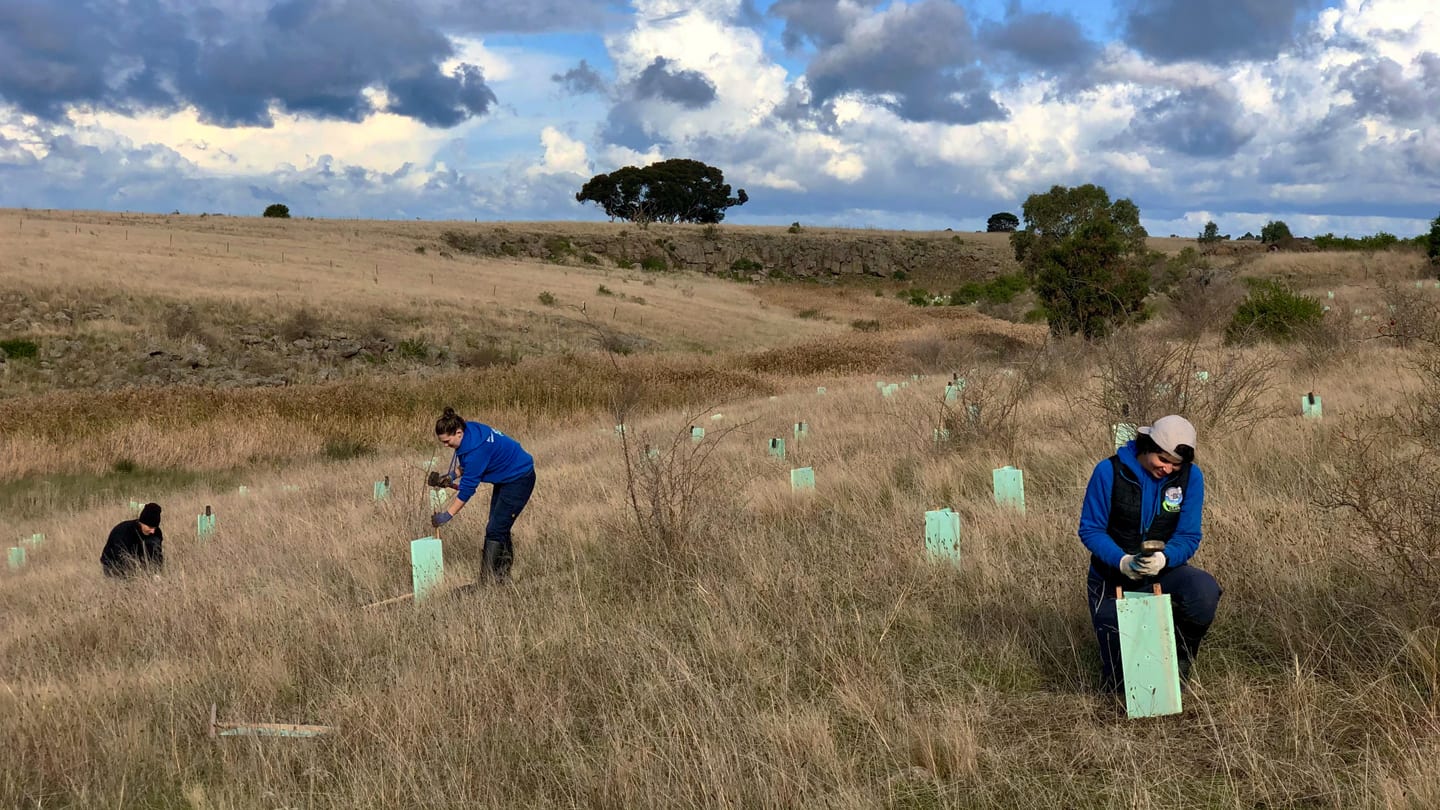 This Google Maps for nature shows the global potential for restoring ...