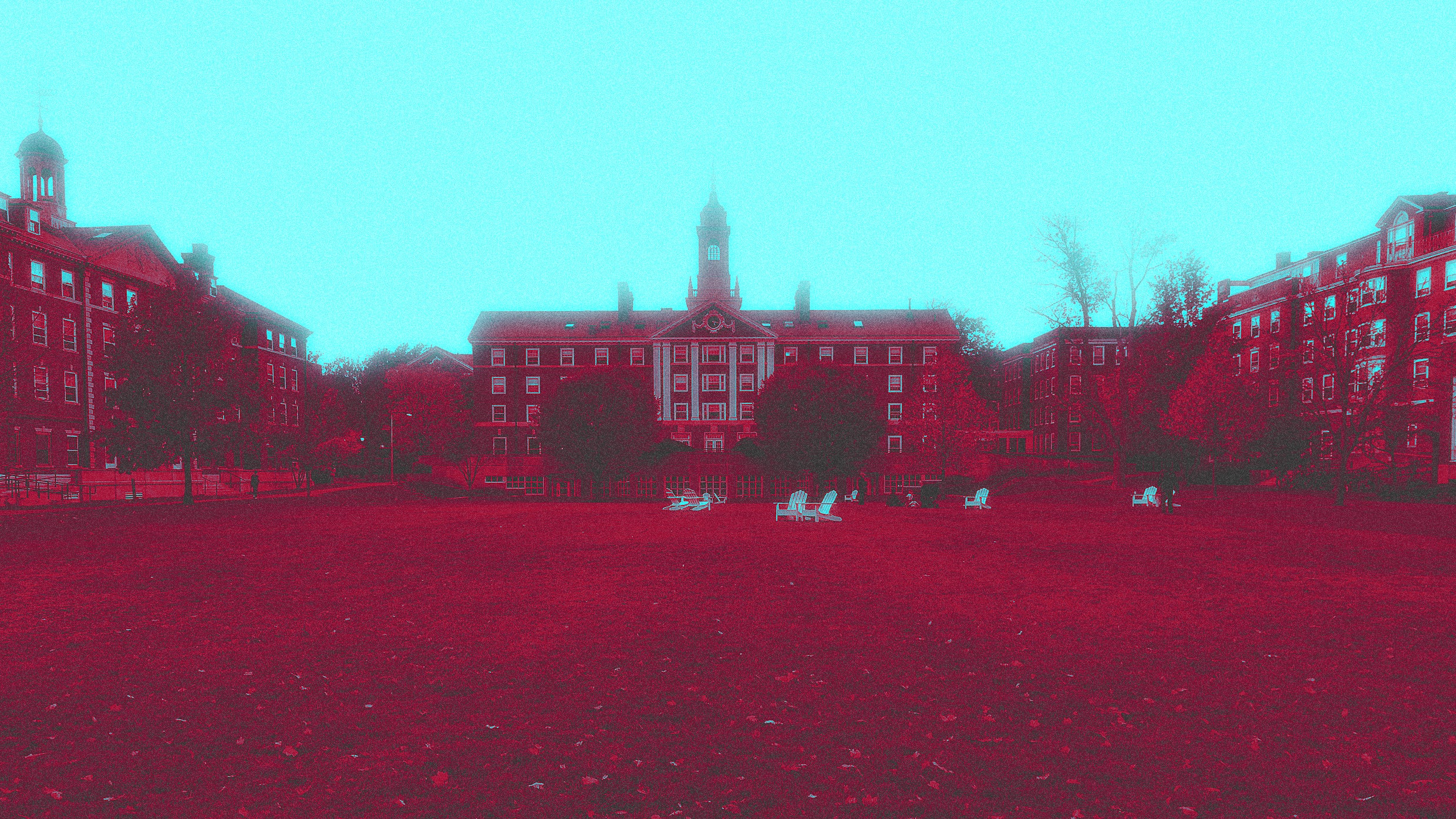 I'm a student activist: Here's how we pushed Harvard University to ...