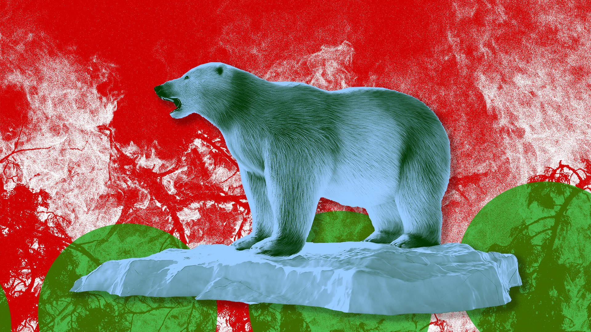 Play with the 'Climate Action Navigator' to figure out the best path ...