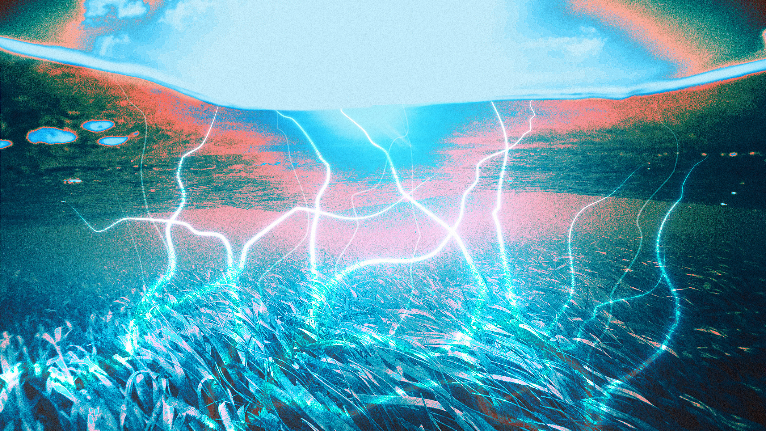 These seaweed-inspired generators create underwater wave power - Fast ...