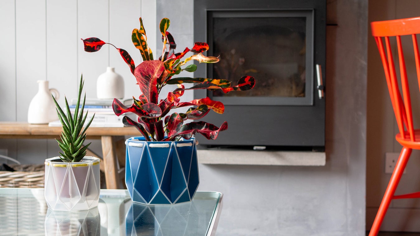 A former Dyson designer has created plant pots that fold flat - Fast ...
