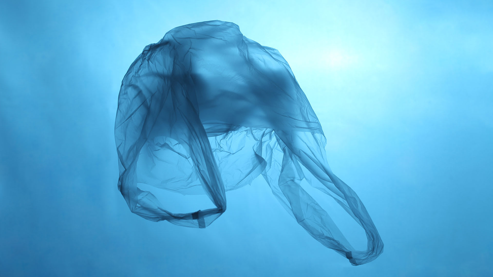 Marine life thrives on the Great Pacific Garbage Patch, scientists find ...