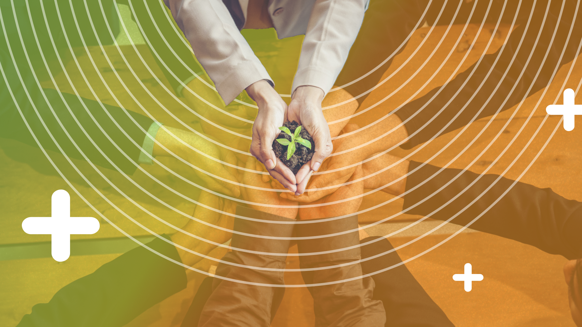 Why sustainability needs to be part of a CIO's strategy - Fast Company