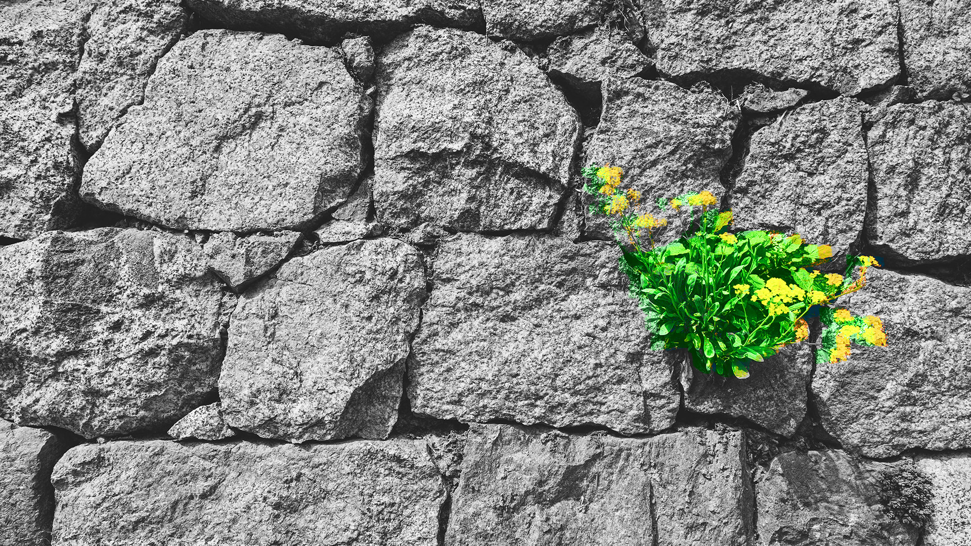 The power of solving small problems - Fast Company