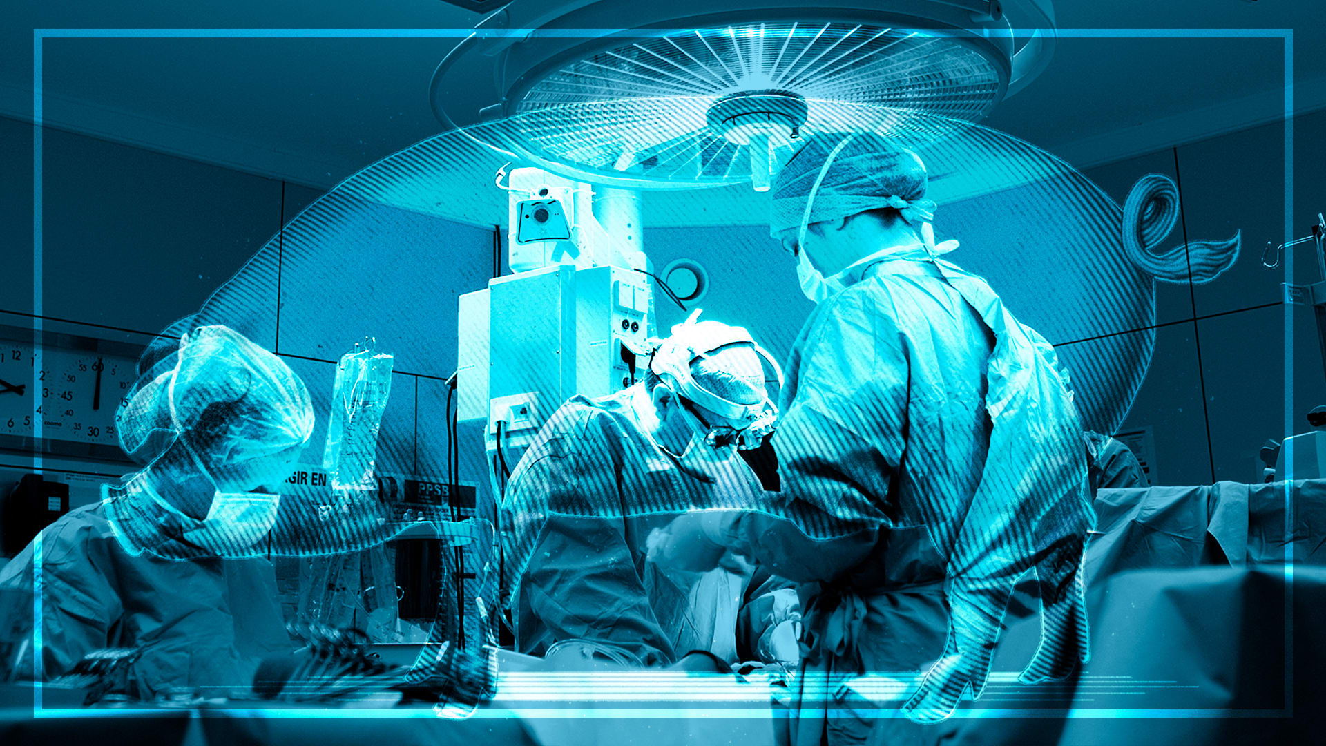 Are genetically modified pig parts the future of organ transplants ...