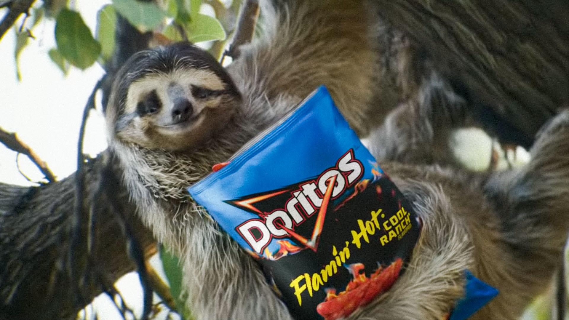 Flamin' Hot: This Super Bowl ad has a life of its own - Fast Company