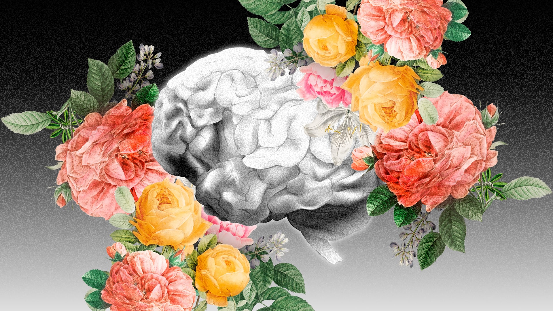 This is what happens to your brain when you give and receive ...