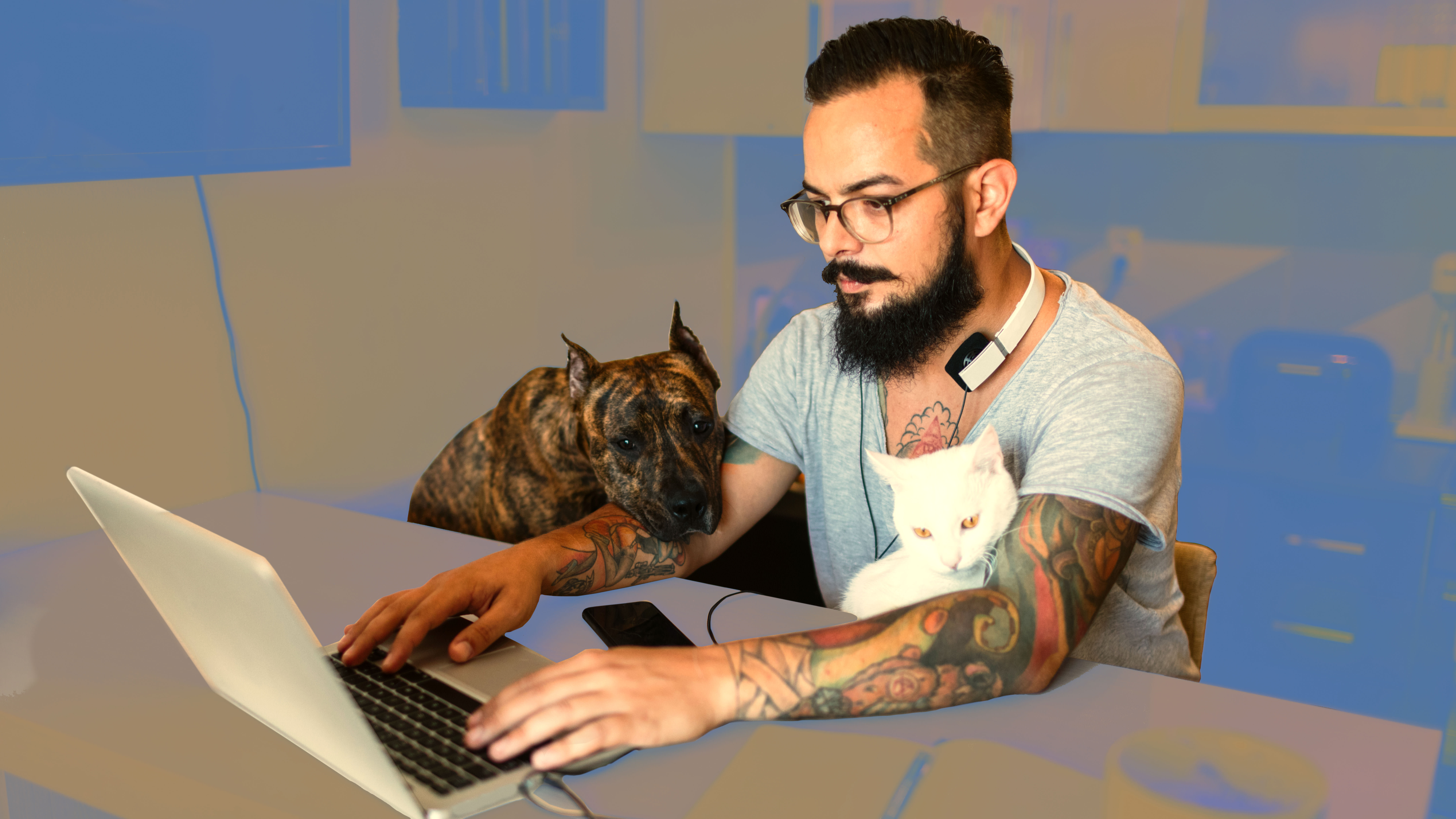 These are the times when it's OK to turn your camera off in a meeting ...