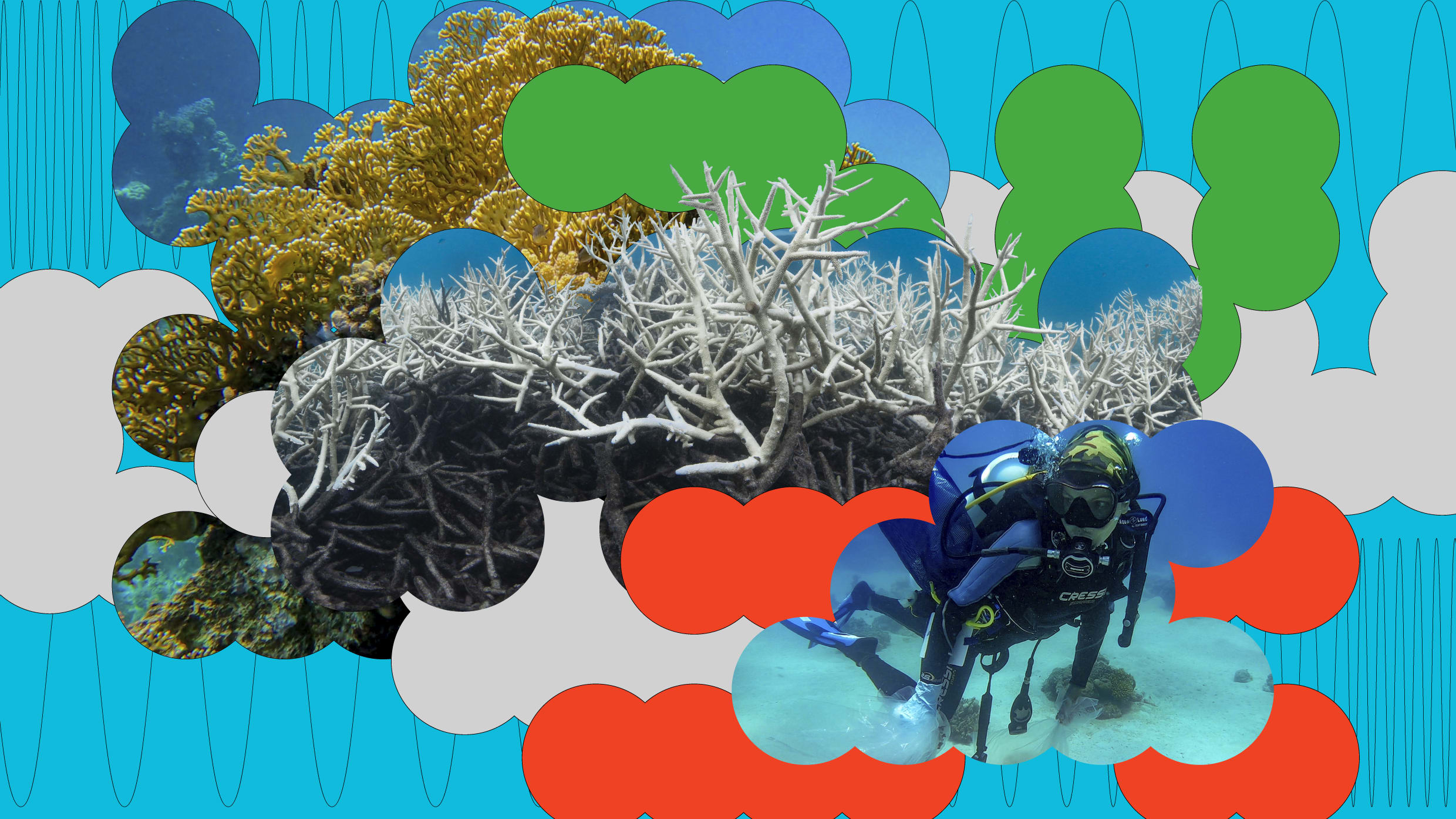 How healthy bacteria could protect coral reefs from climate change ...