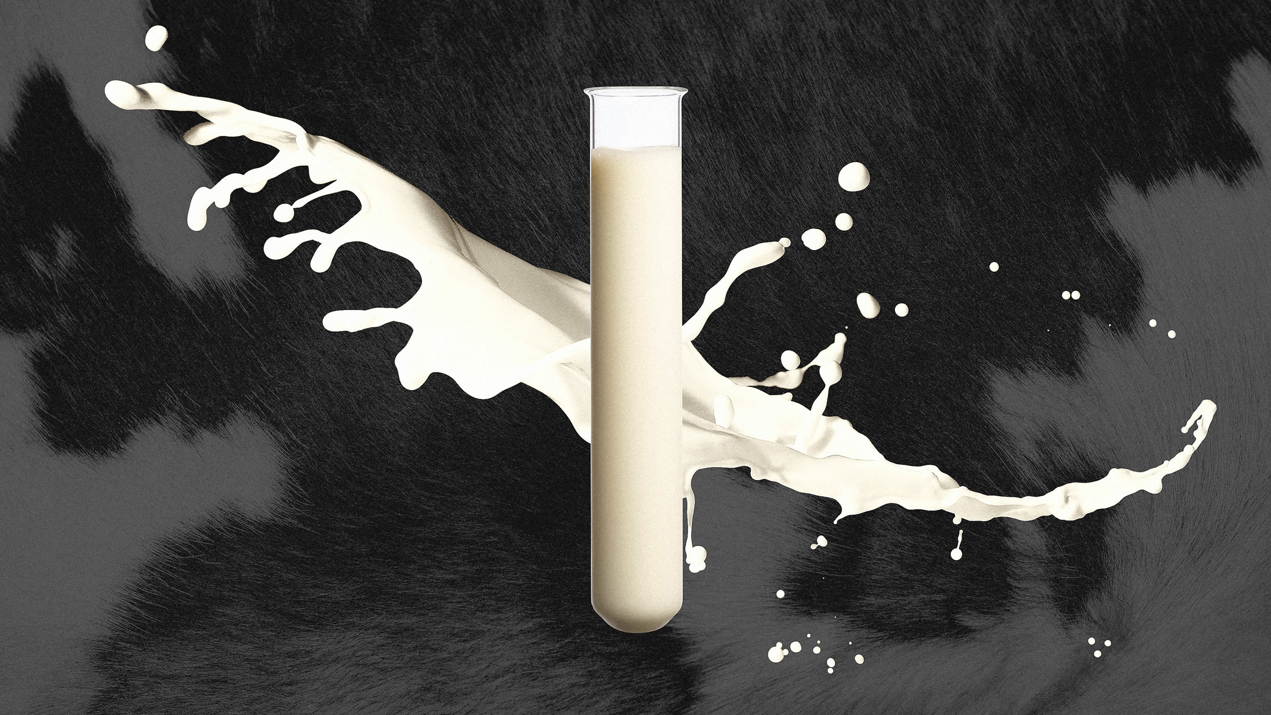 This startup is milking cow cells in a lab for animal-free dairy - Fast ...