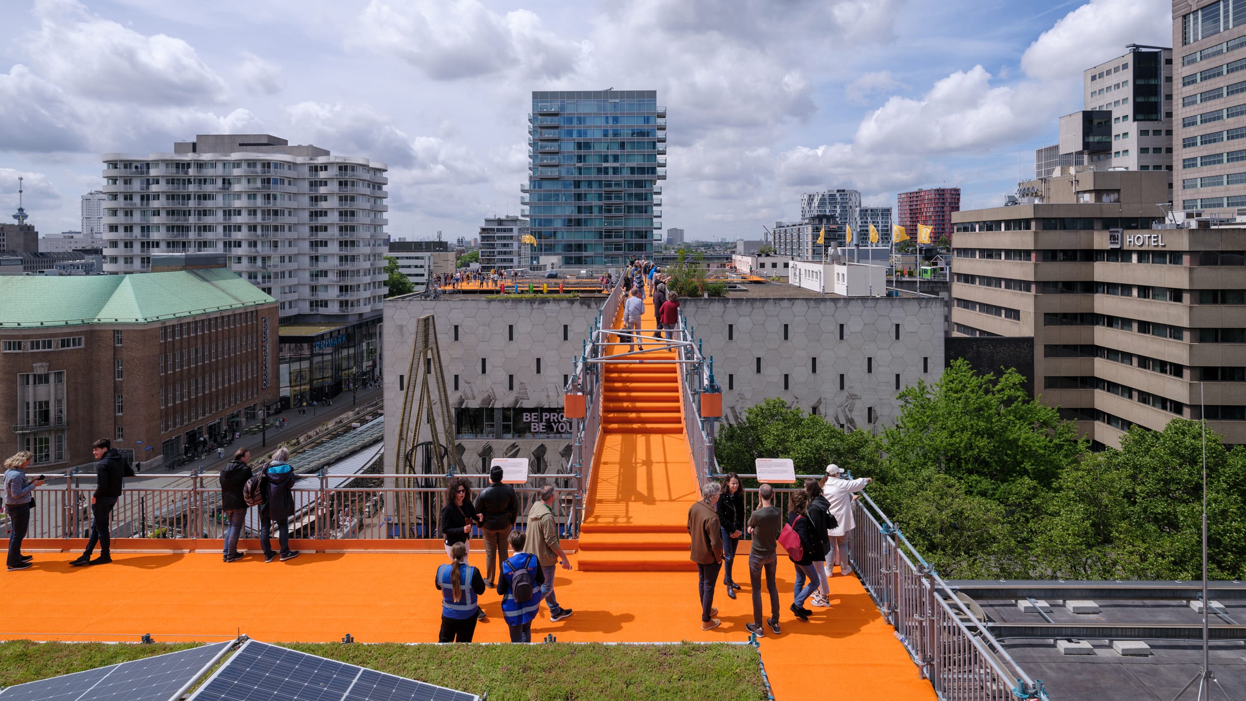 Inside Rotterdam's quest to green 10 million square feet of rooftops ...