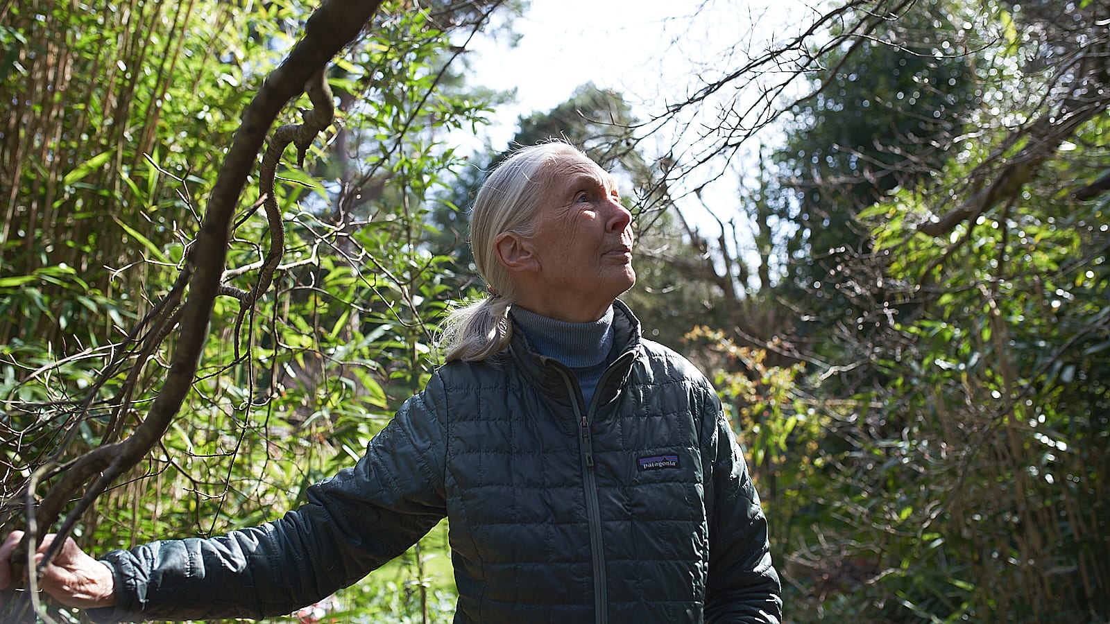 Jane Goodall's advice for the world: 'We have to roll up our sleeves ...