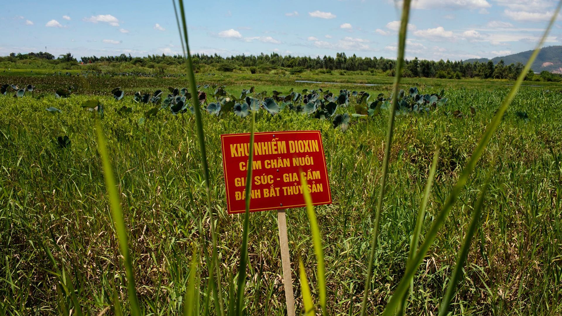 How countries weaponize landscape design in war - Fast Company