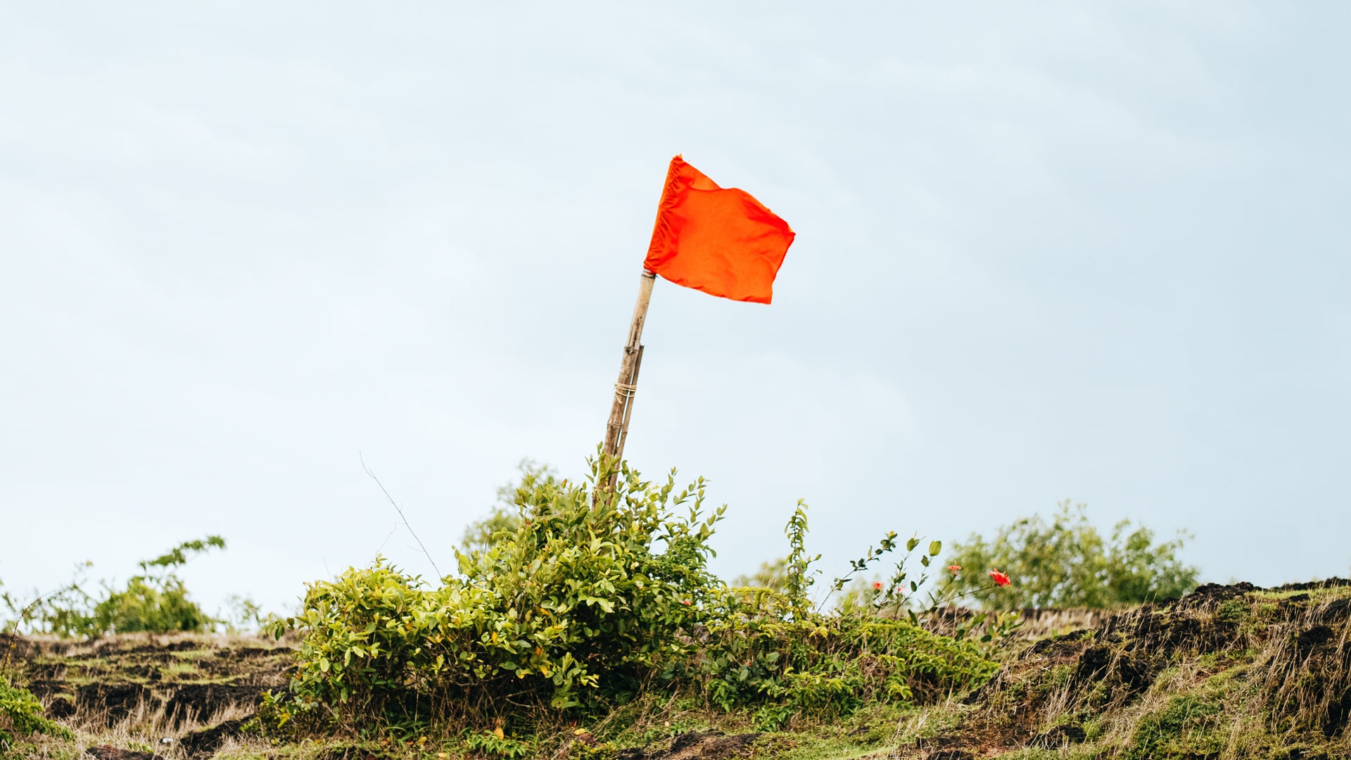 This one quality may be a red flag in a leader - Fast Company