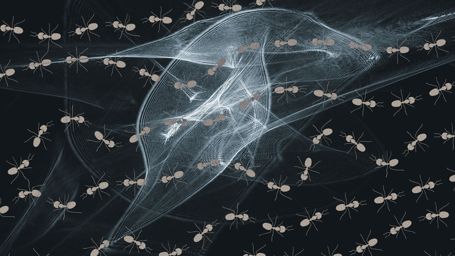 Neuroscience unearthed! Ant colonies behave a lot like a human brain ...
