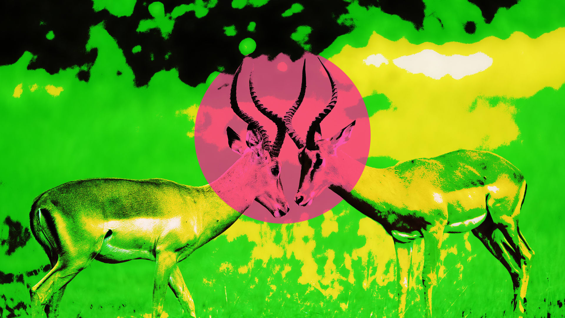 How to deal with workplace conflict directly, even when you feel afraid ...