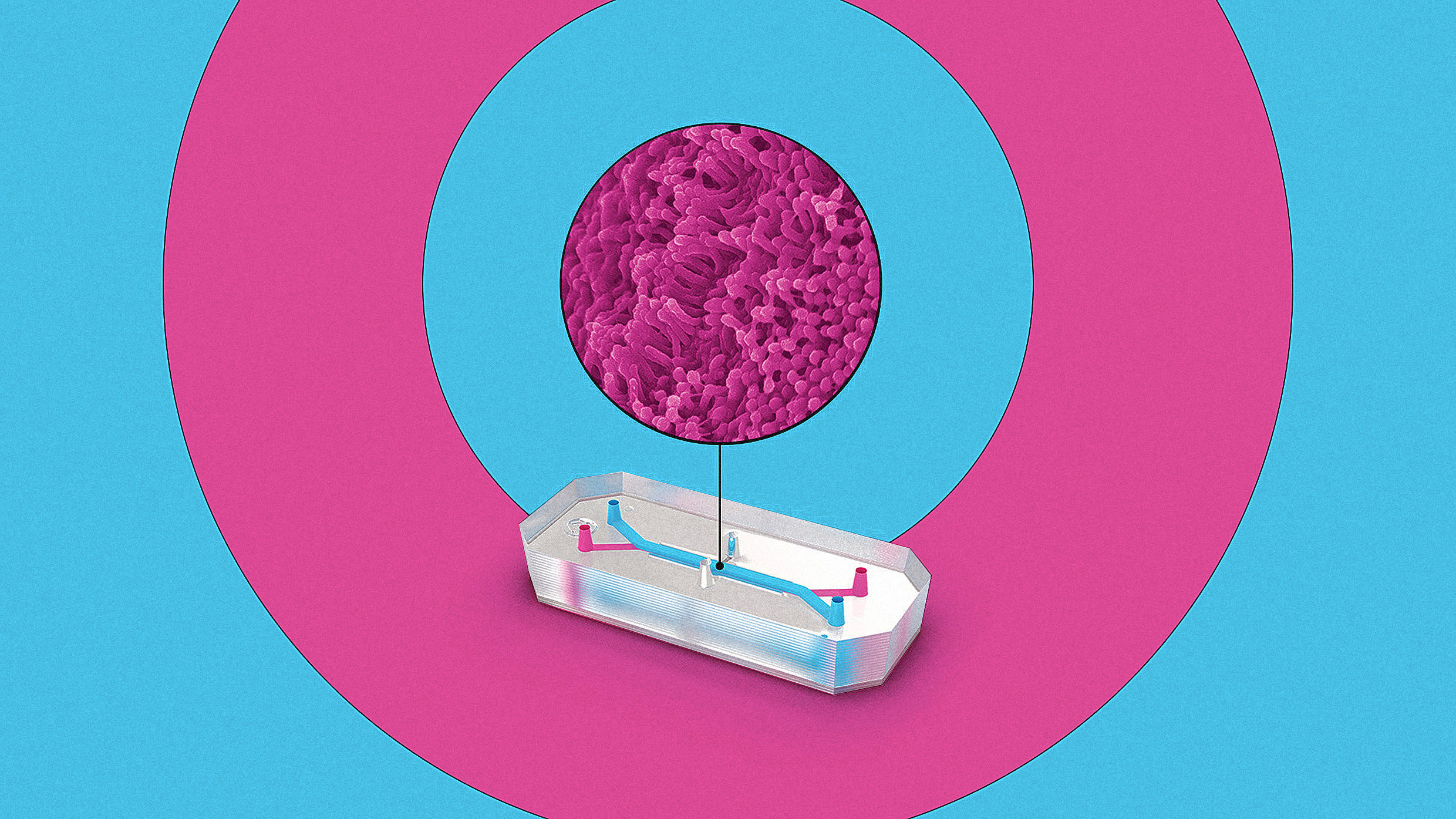 How human 'organs on a chip' can help replace animal testing - Fast Company