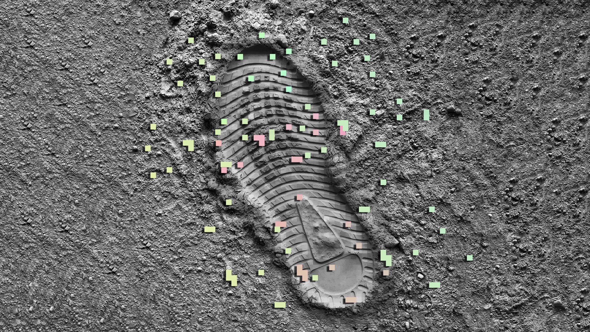 Your forgotten digital footprints could hurt your job prospects. Here's ...
