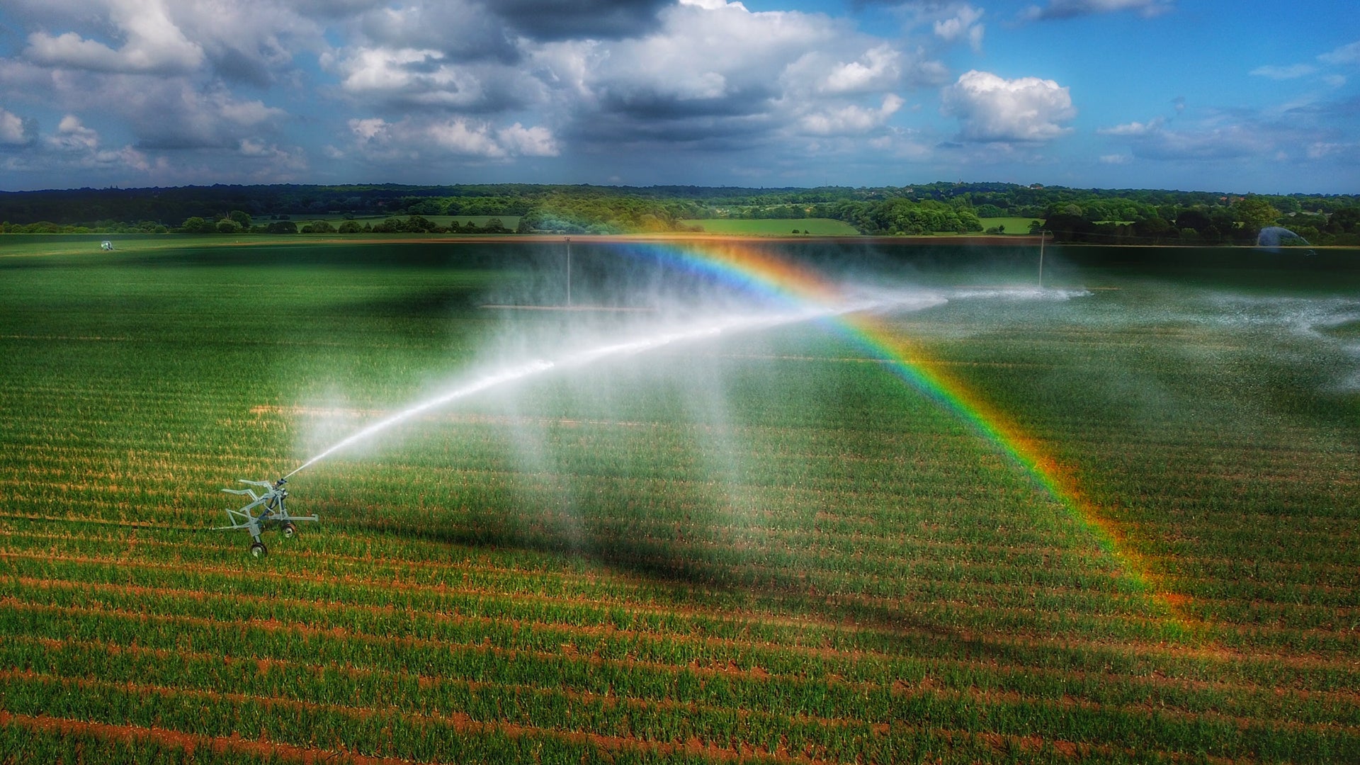 How wireless technologies can help farmers save water - Fast Company