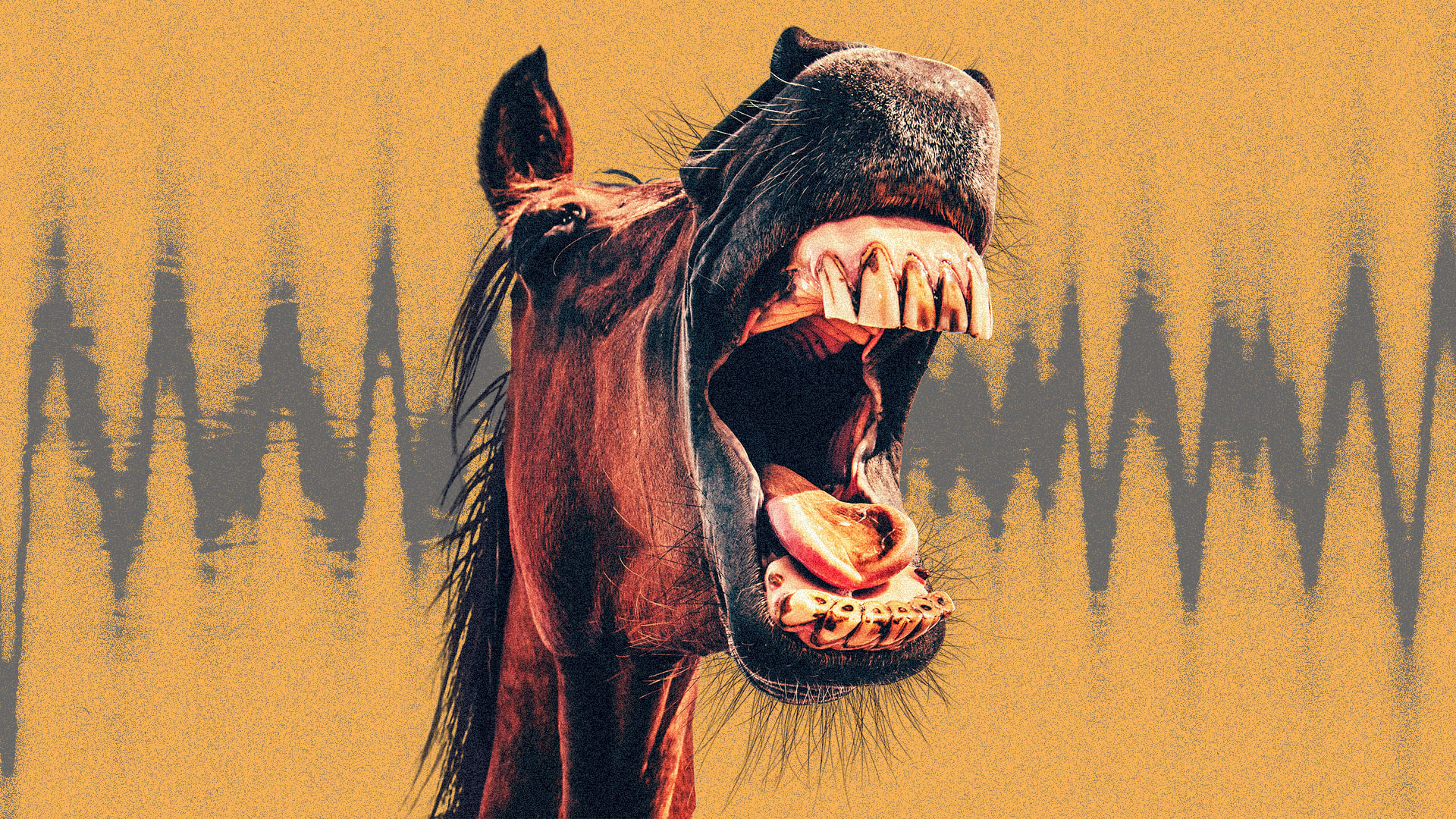 Bioacoustics is helping conservationists monitor wildlife, but the tech ...