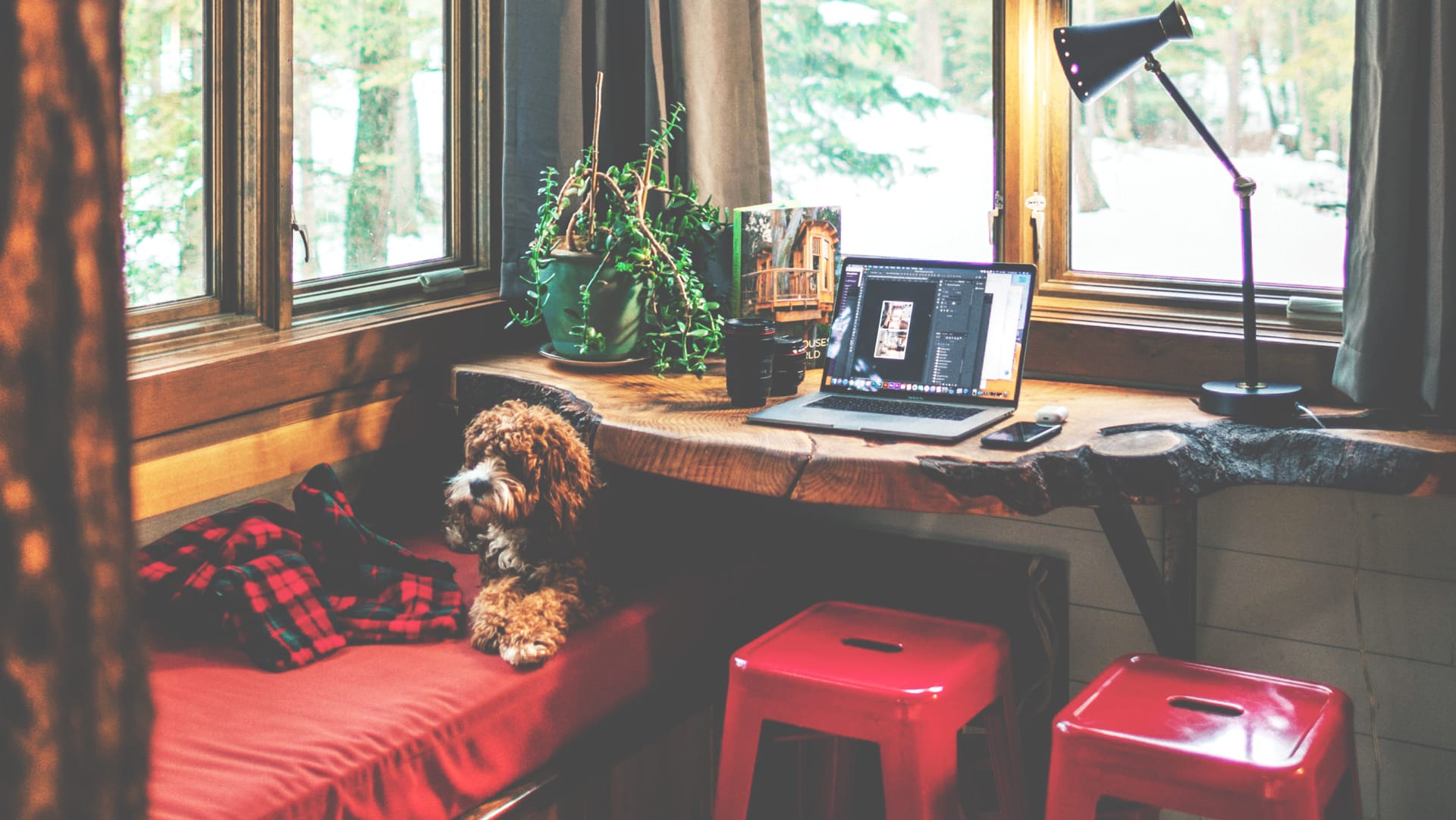 Airbnb has ideas about how governments can improve remote work - Fast ...