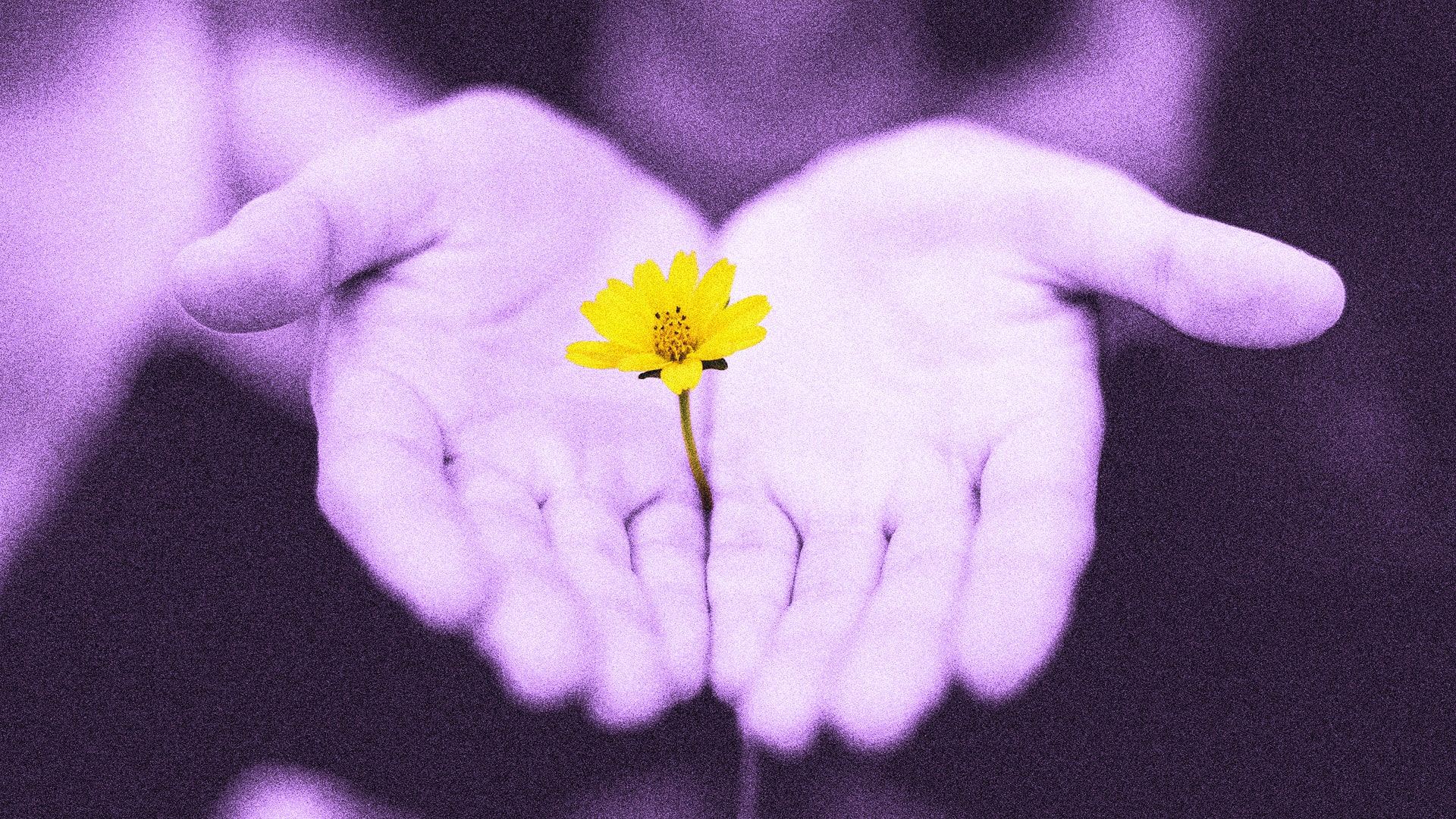 How to train your brain to get better at forgiveness - Fast Company