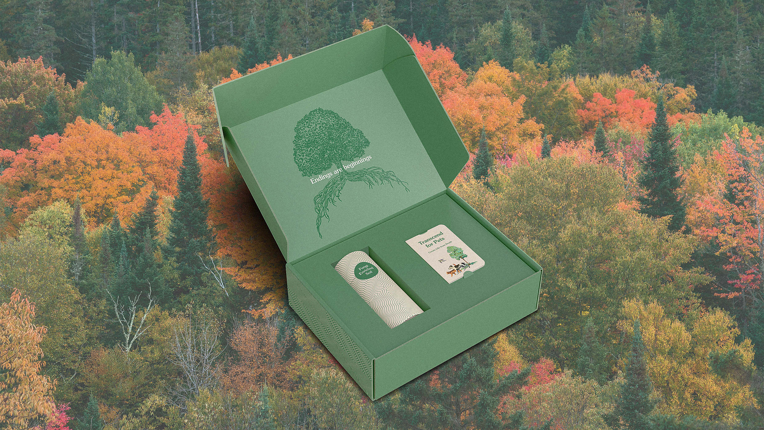 At these new green cemeteries, your body will turn into a tree - Fast ...