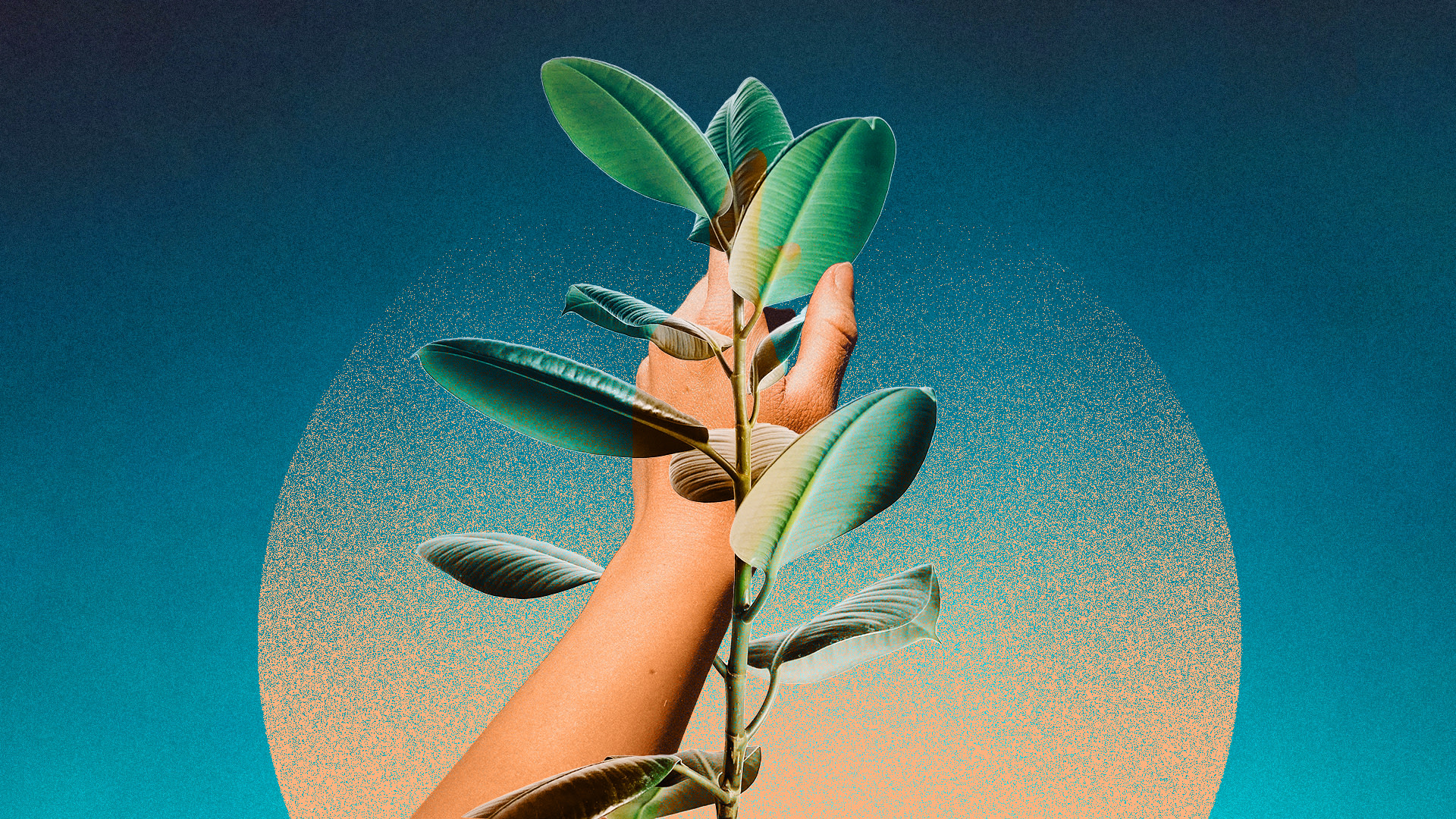 3 science-backed ways to train your brain to have a growth mindset ...