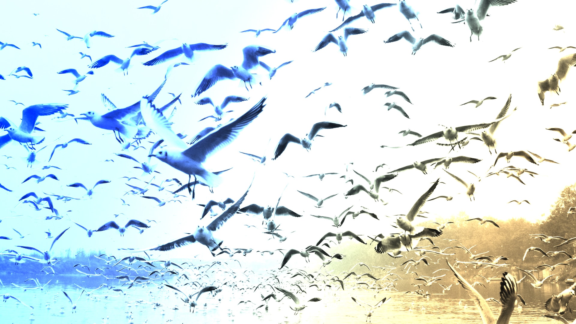 Getting users to migrate from Twitter onto a new platform can be ...