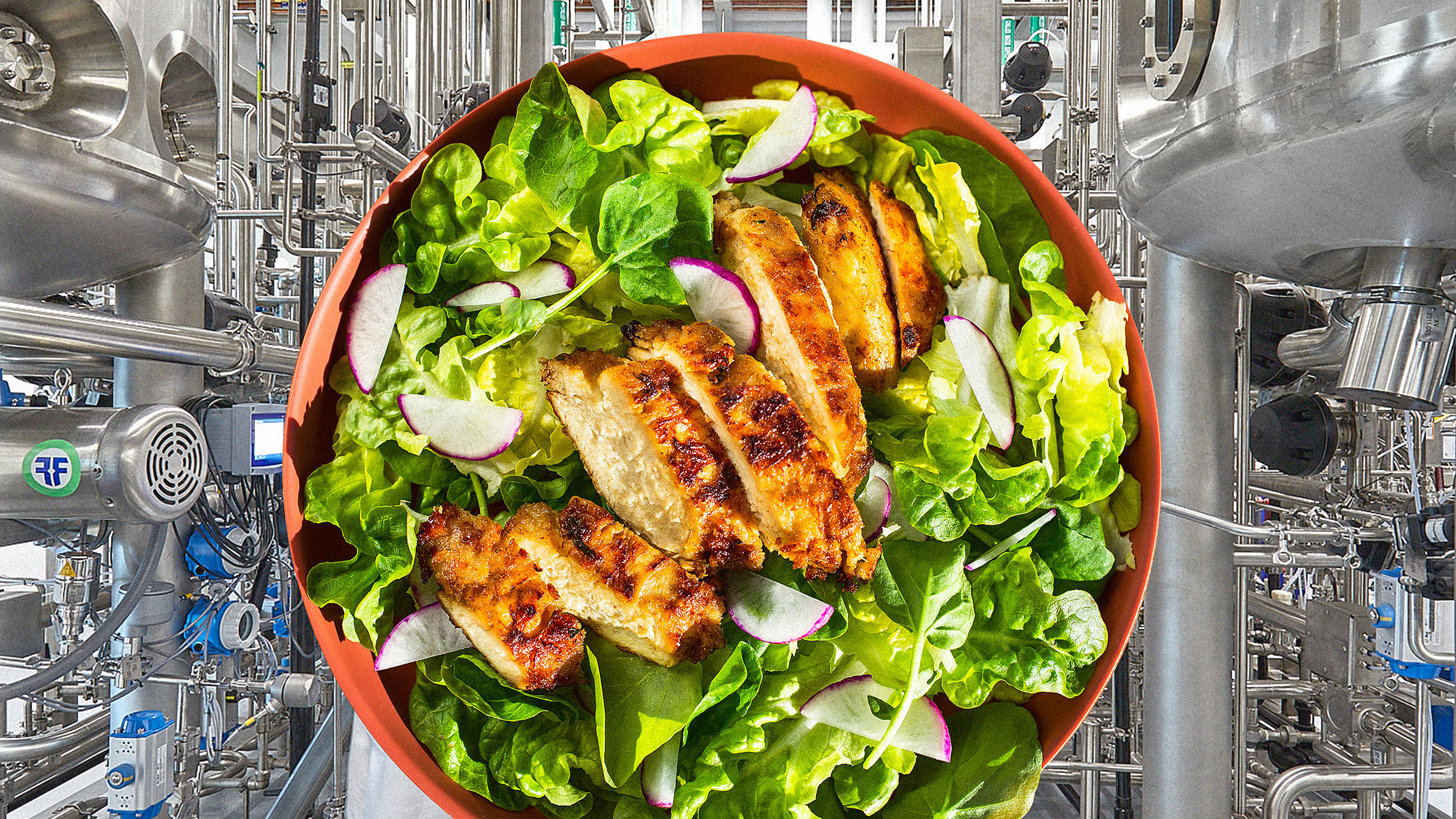 The FDA just approved the first lab-grown 'cultivated’ meat - Fast Company