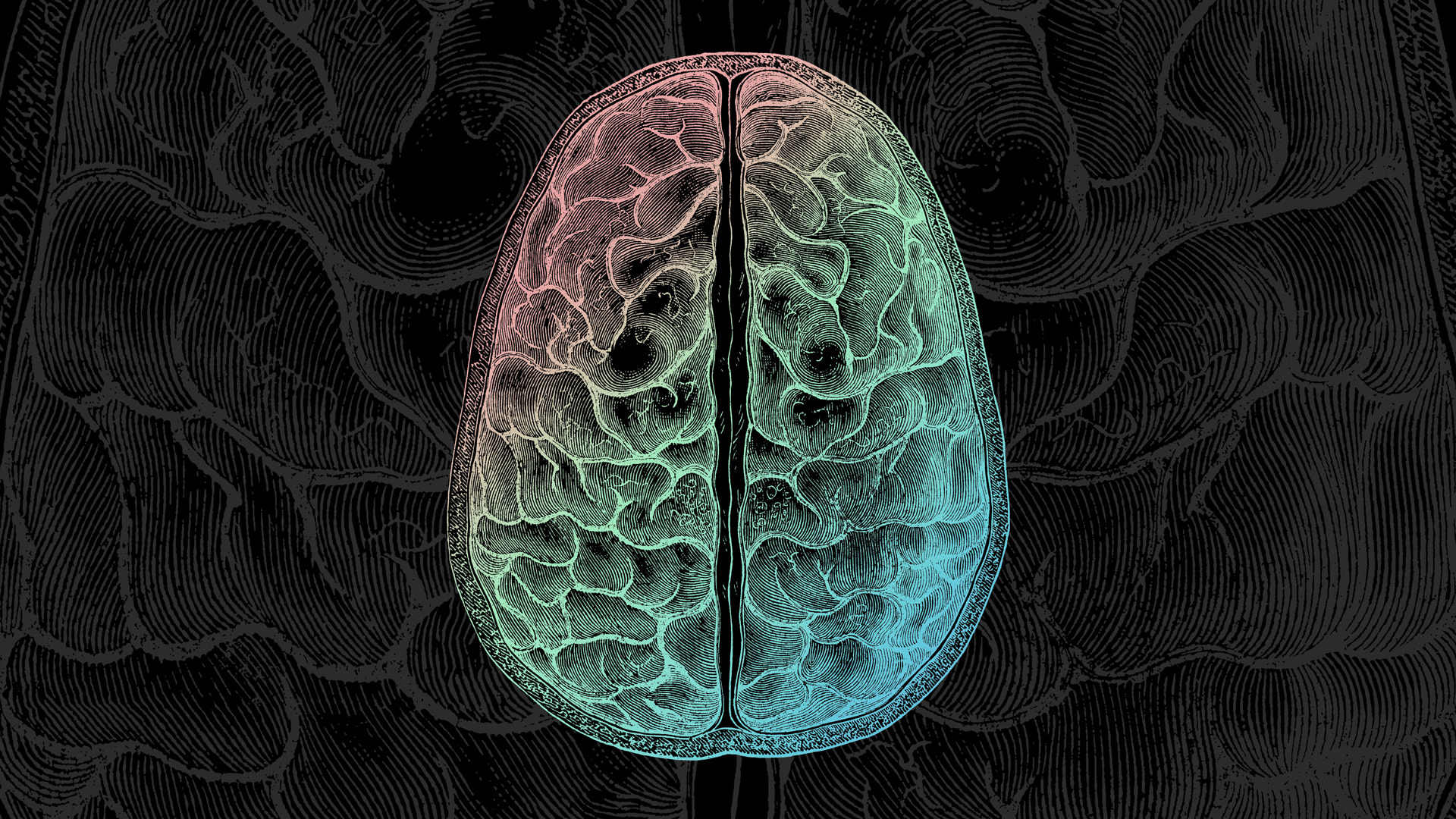 How to make the most of the brain you have, according to neuroscience ...