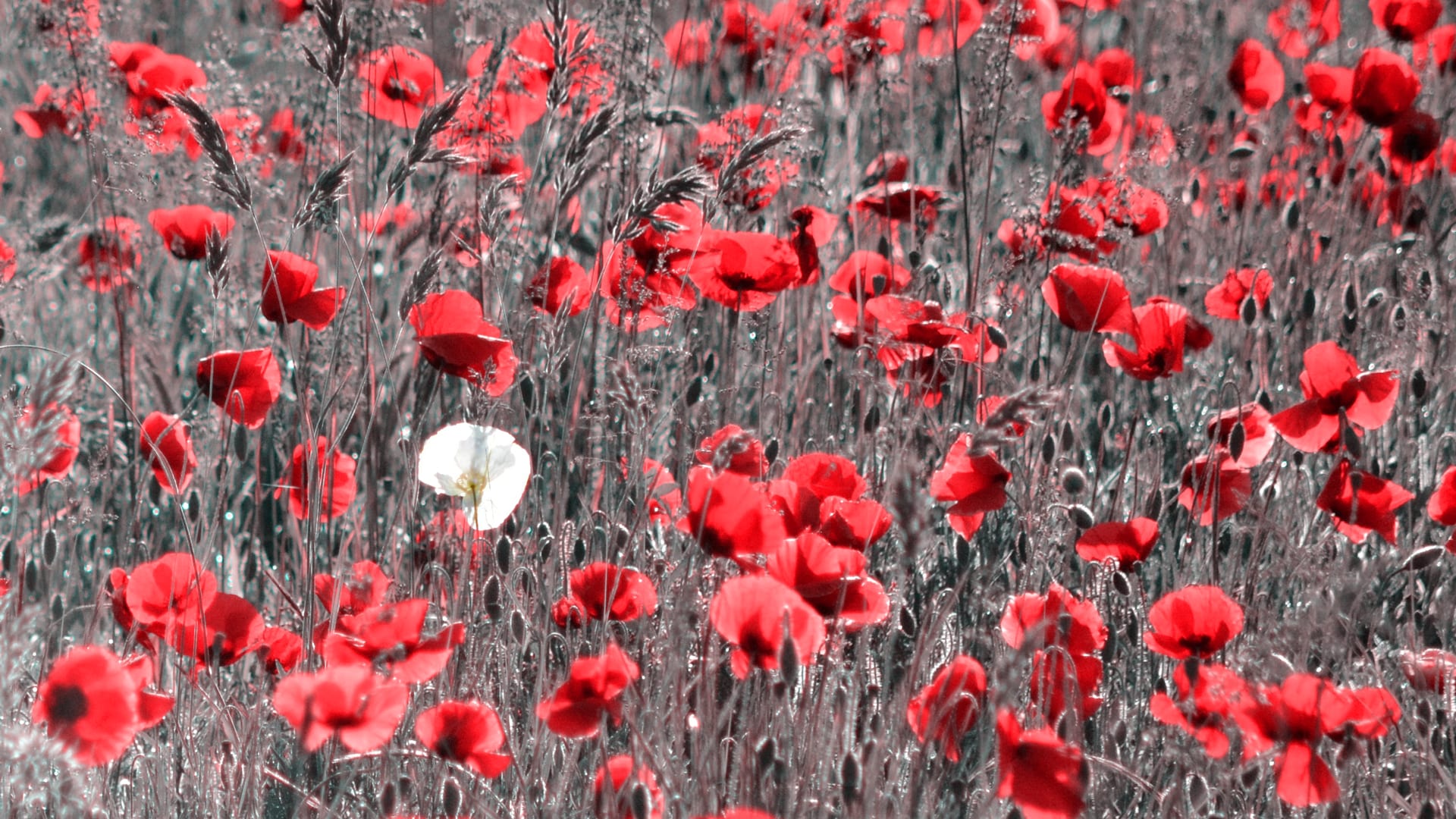 This one trait could (counterintuitively) be holding your career back ...