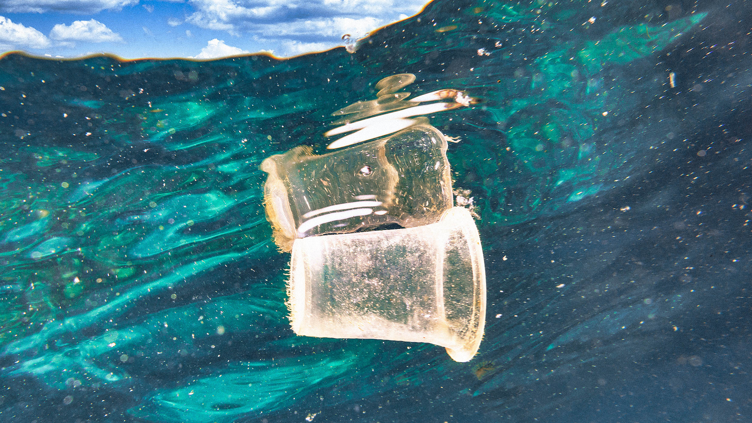 More governments are banning single-use plastic. Here are 3 ways to ...