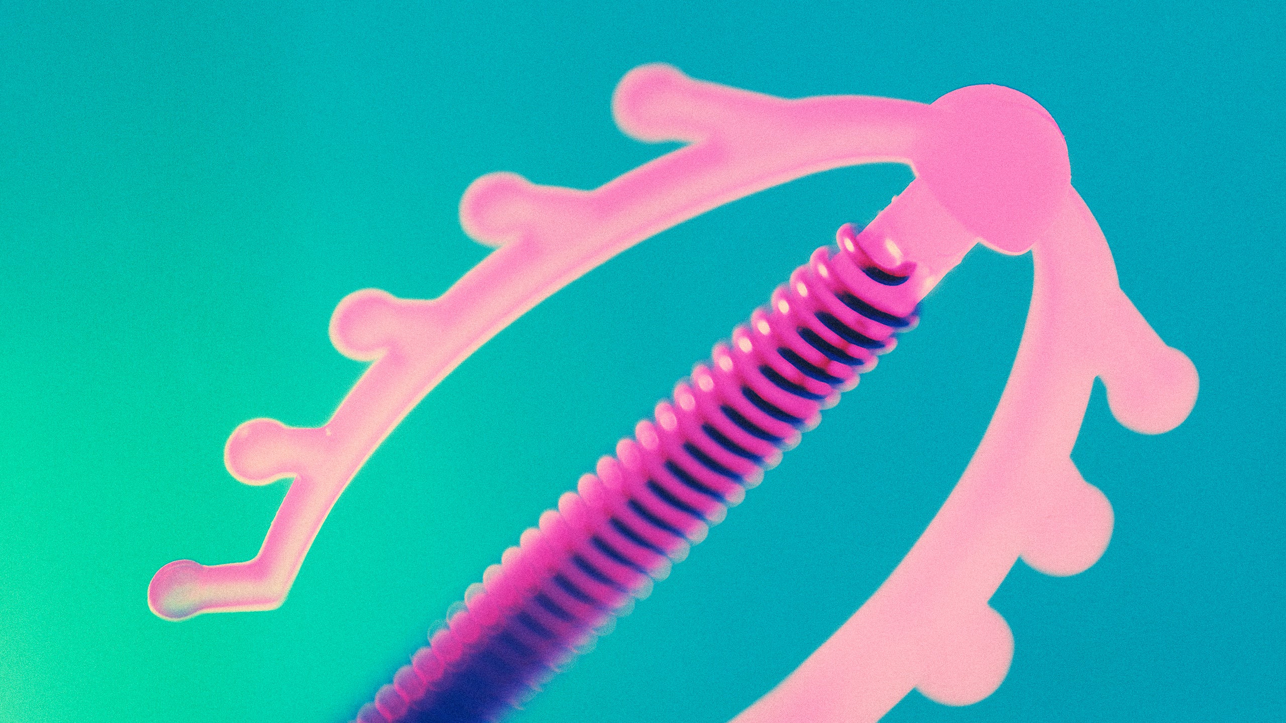 Duke medical researchers say deep mistrust of IUDs on TikTok is ...