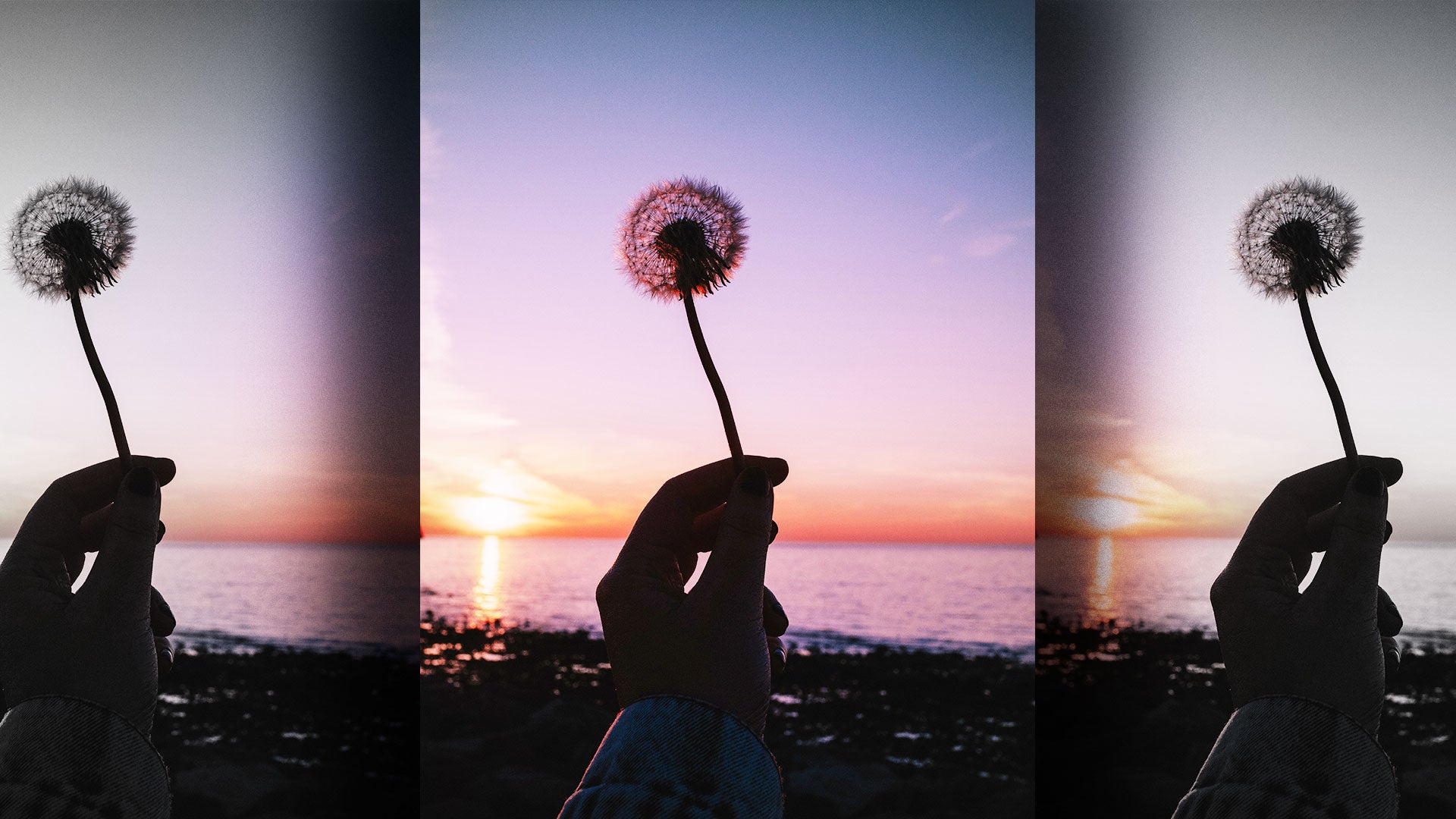 5 ways to leverage being a highly sensitive person at work