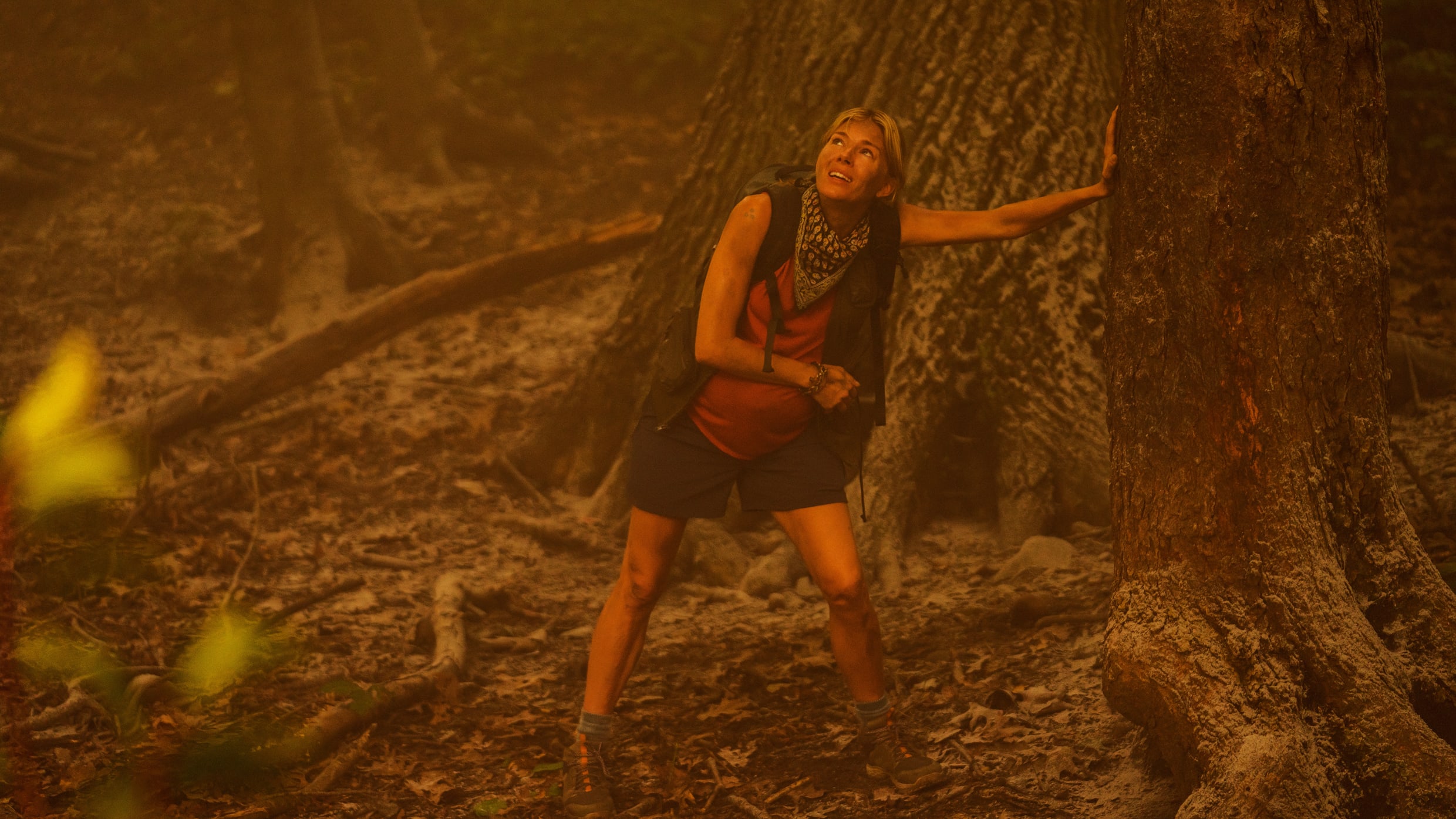 Why Hollywood is finally tackling climate change onscreen